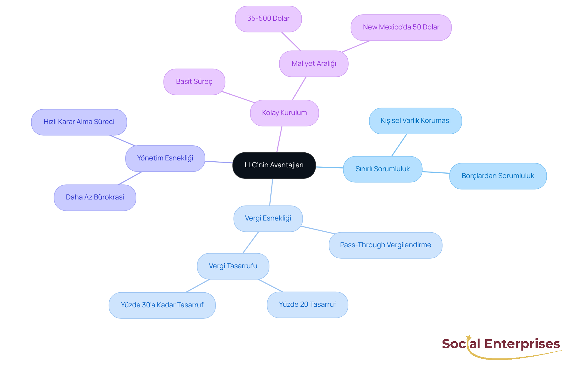 Merkezdeki ana fikirden başlayarak dalları takip edin. Her dal, LLC'nin sağladığı bir avantajı temsil eder. Dalların altındaki açıklamalar ise bu avantajların ne anlama geldiğini ve işletmelere sağladığı faydaları anlatır.
