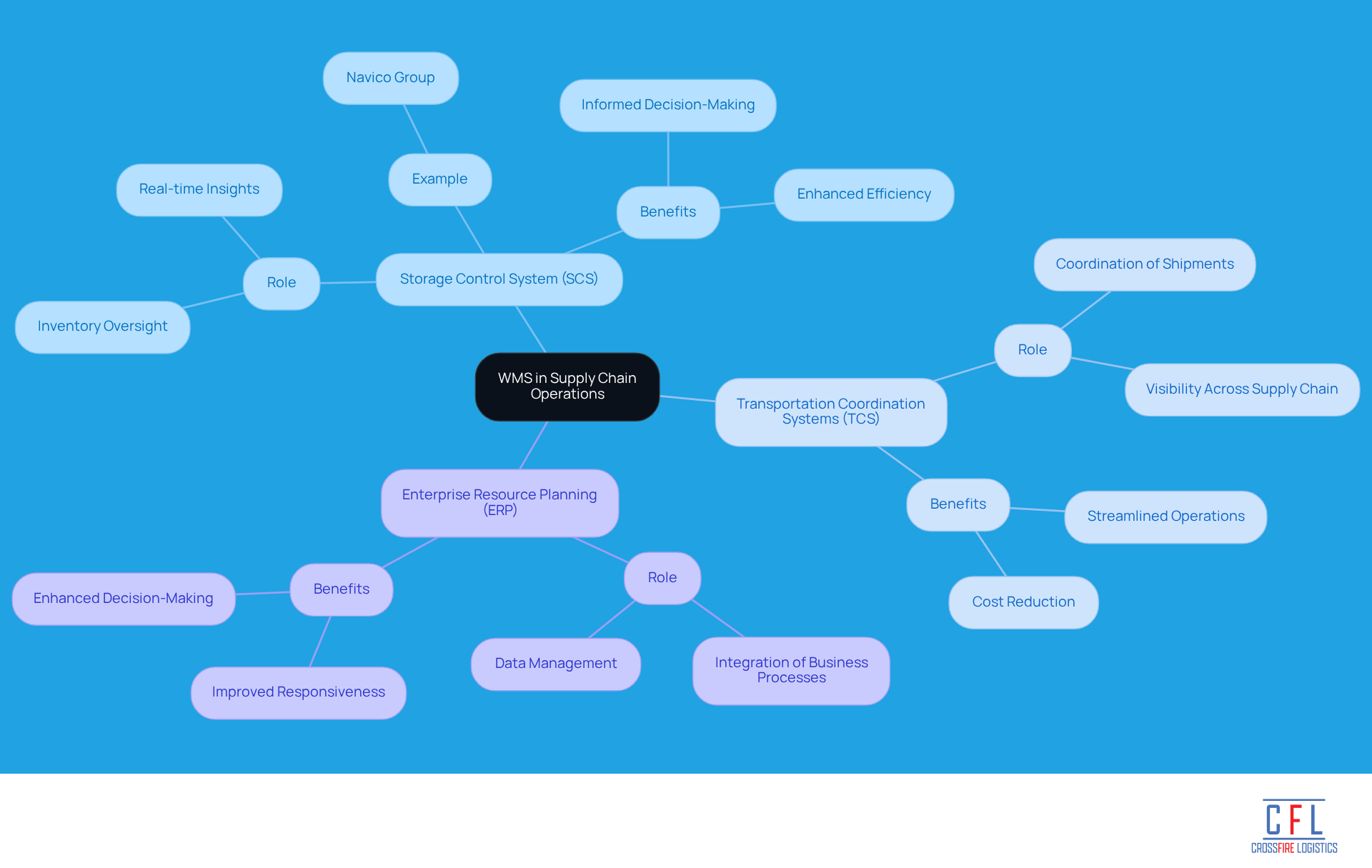 The central node represents WMS, with branches showing related systems and their functions. Each sub-branch provides more detail, illustrating how these systems work together to improve supply chain efficiency.