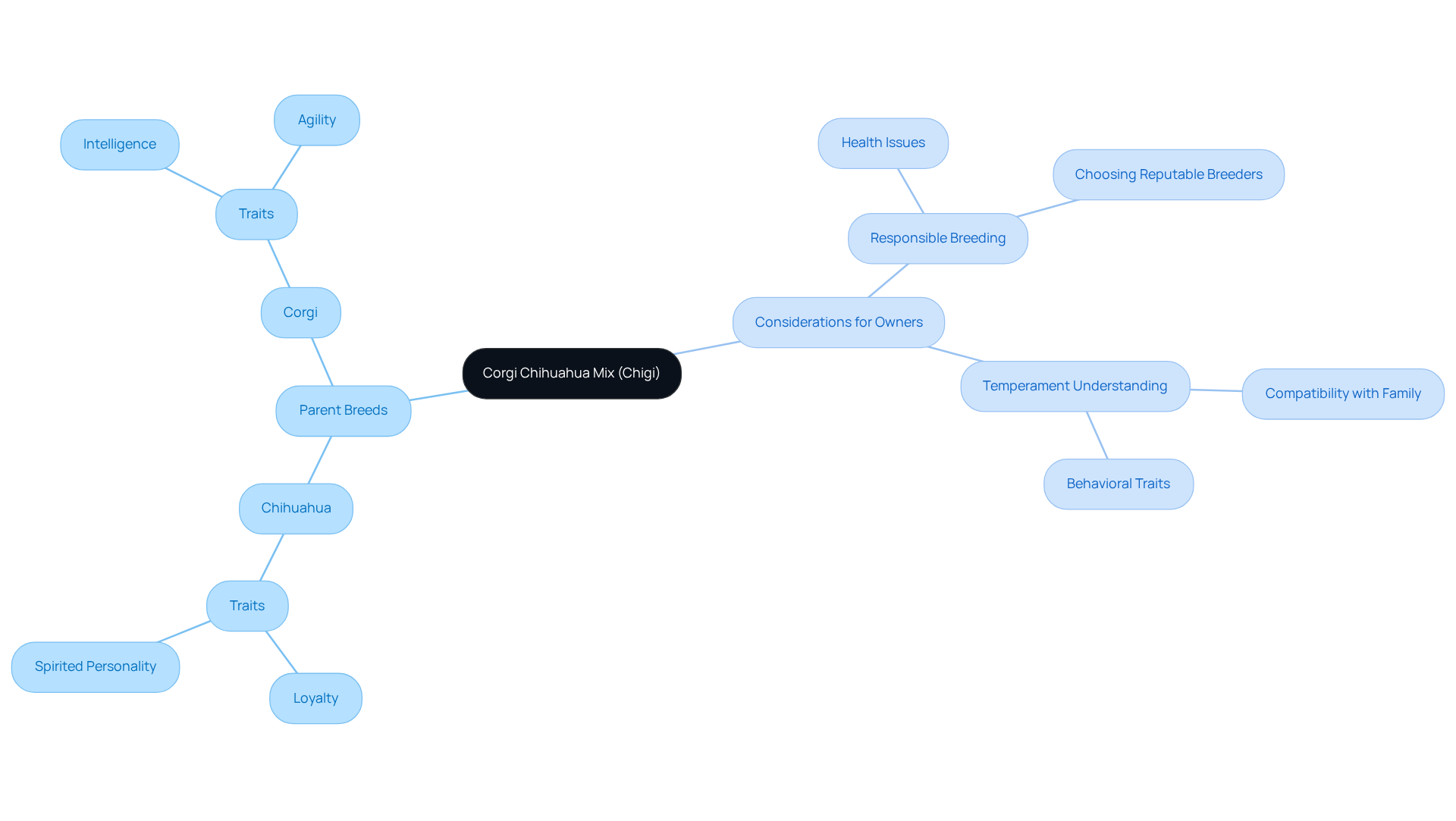 The center represents the Chigi, with branches showing its parent breeds and key considerations for potential pet owners. Each color-coded branch helps identify different aspects of this unique hybrid.