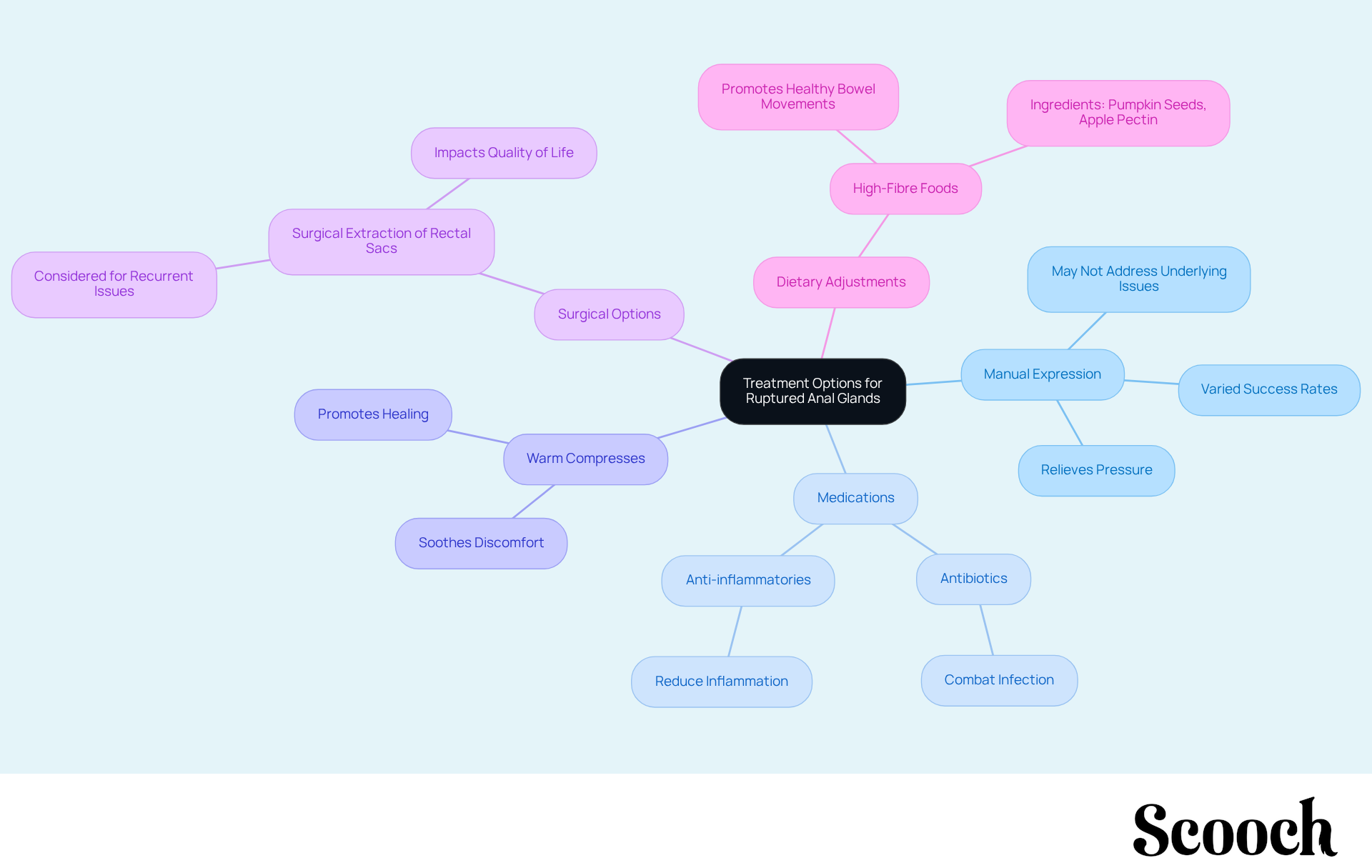 The central node represents the main topic, while the branches show different treatment methods. Each method has its own details, helping you understand how they contribute to your dog's health. The central node represents the main topic, while the branches show different treatment methods. Each method has its own details, helping you understand how they contribute to your dog's health.
