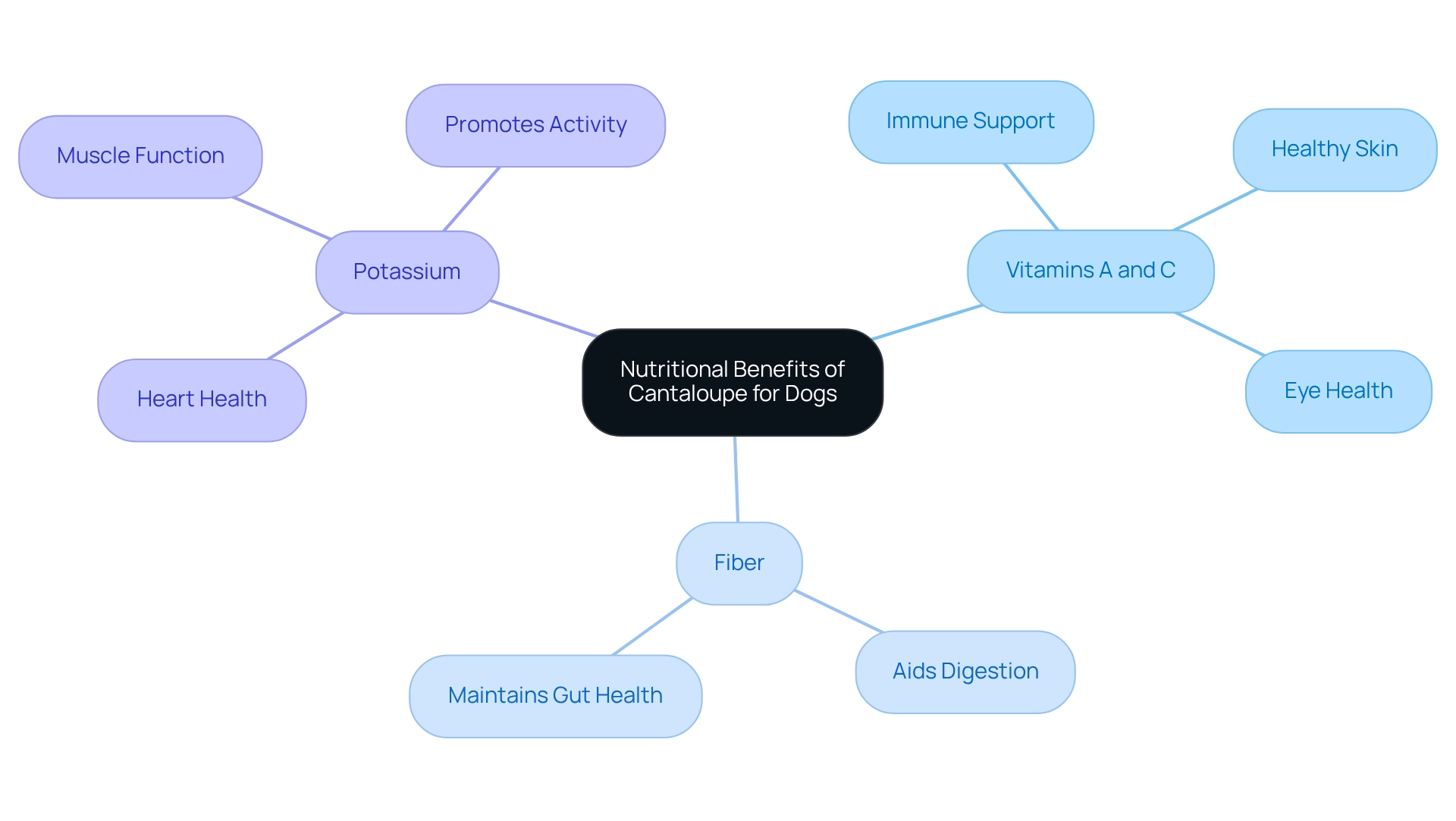 The center shows the main idea of cantaloupe's benefits, and the branches illustrate key nutrients and their specific advantages for your dog's health. The center shows the main idea of cantaloupe's benefits, and the branches illustrate key nutrients and their specific advantages for your dog's health.