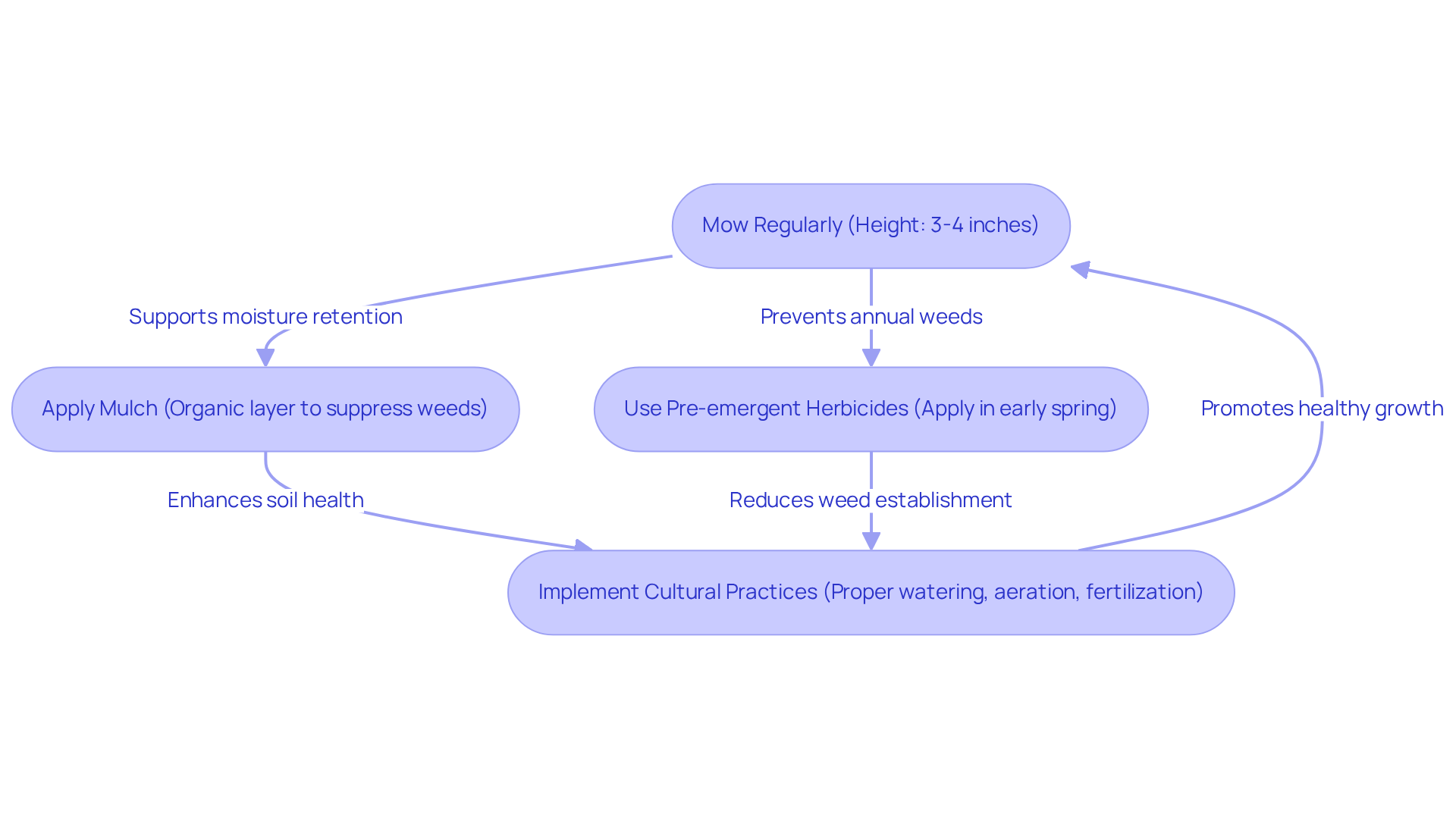 Each box represents a strategy to manage weeds in your yard. Follow the arrows to see how each step contributes to a healthier, weed-free landscape.