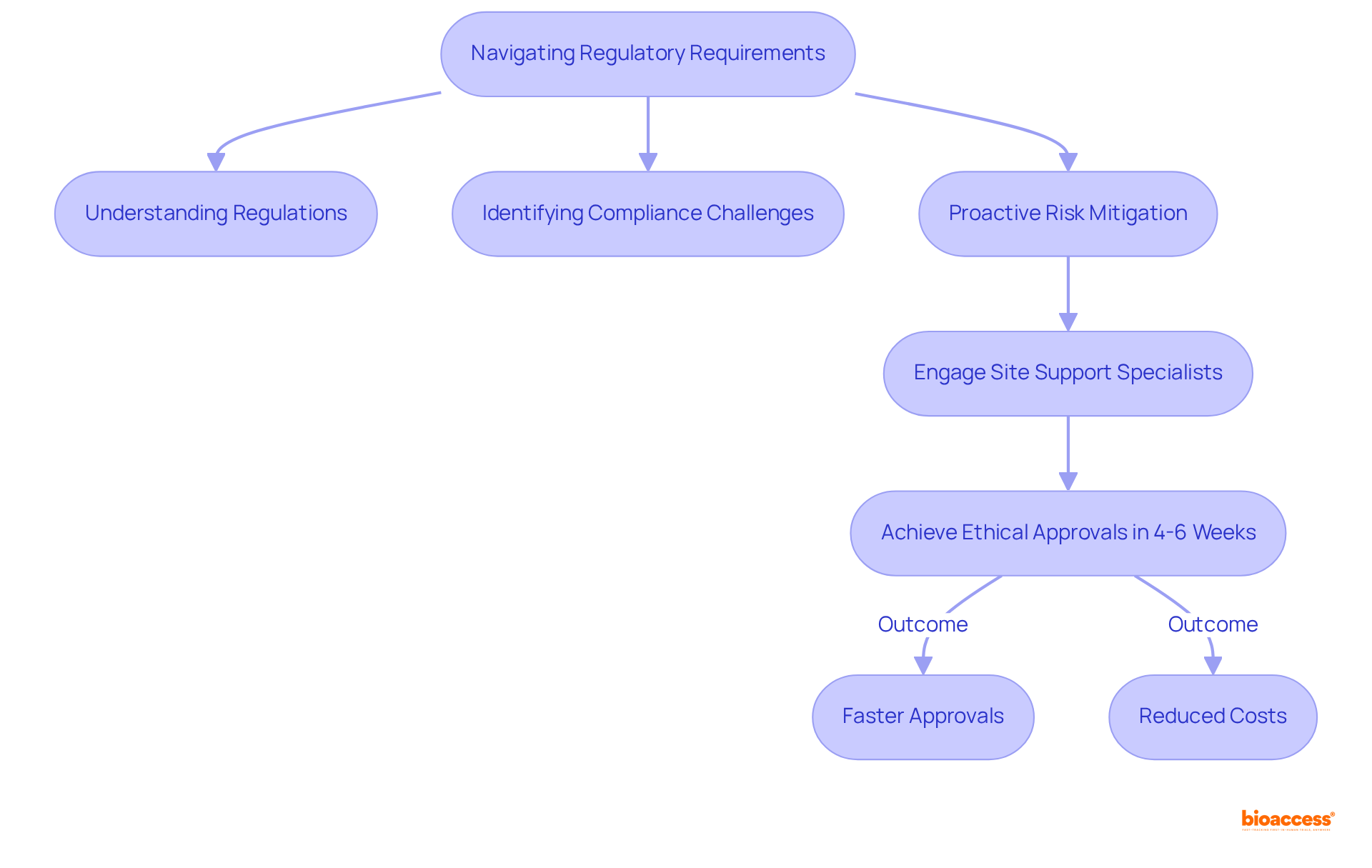Each box represents a step in the regulatory navigation process — follow the arrows to see how actions lead to outcomes, such as faster approvals and reduced costs.