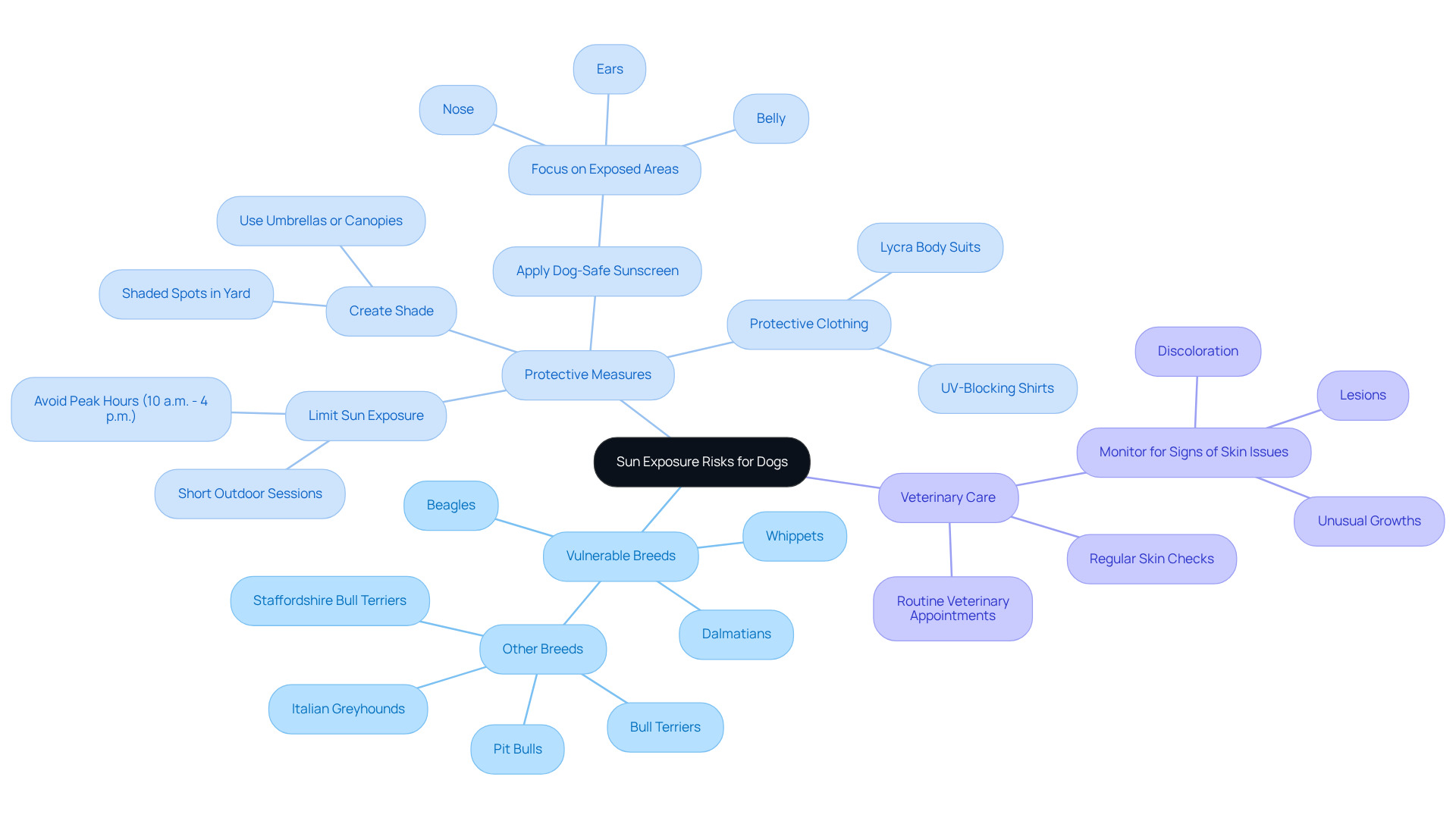 The central node represents the main risk of sun exposure for dogs, with branches showing specific breeds at risk, protective actions owners can take, and the importance of veterinary check-ups. Each branch helps you see how to protect your furry friends effectively. The central node represents the main risk of sun exposure for dogs, with branches showing specific breeds at risk, protective actions owners can take, and the importance of veterinary check-ups. Each branch helps you see how to protect your furry friends effectively.