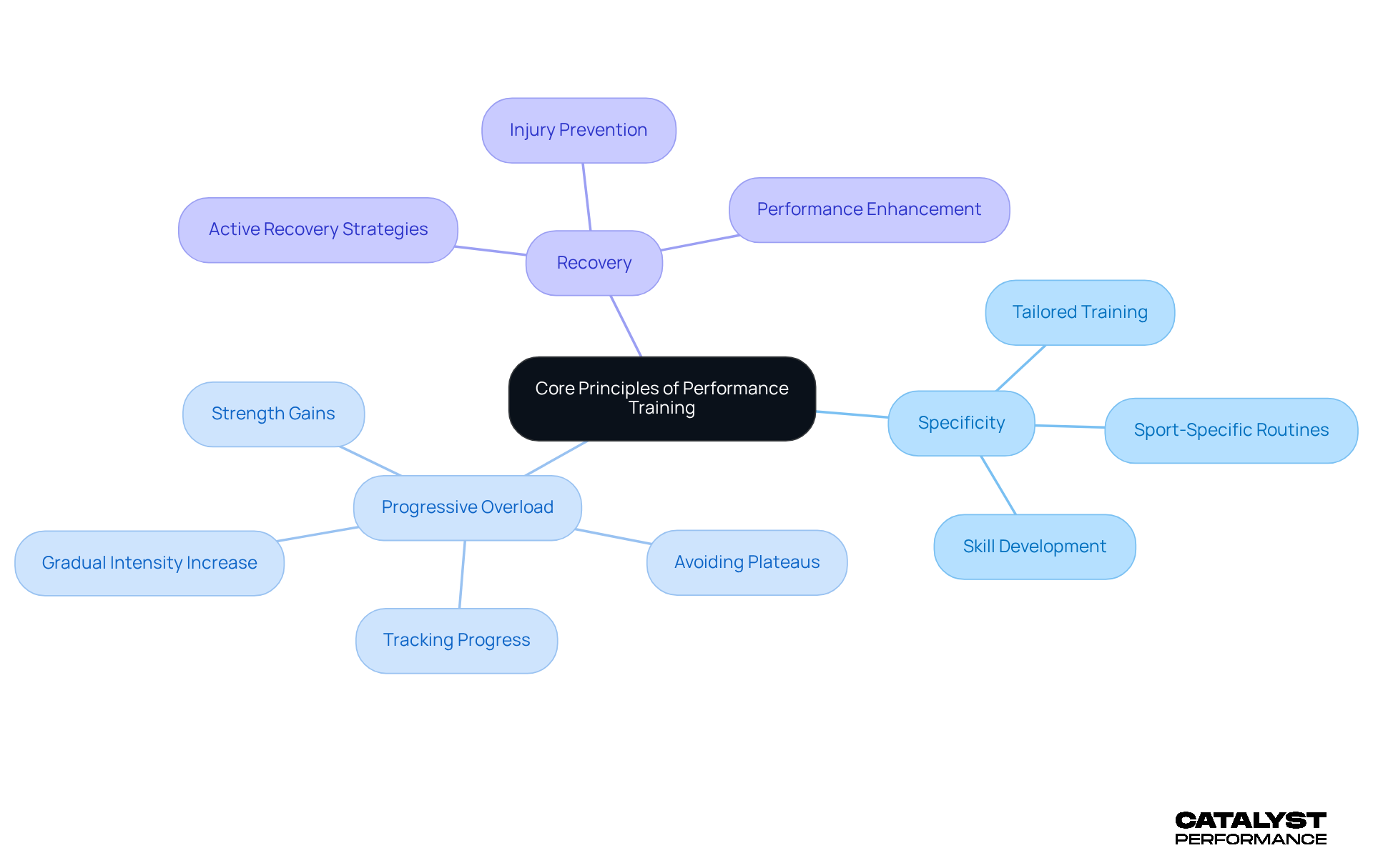 The center represents the main theme of performance training principles. Each branch shows a key principle, and the sub-branches provide details on how to apply these principles effectively.