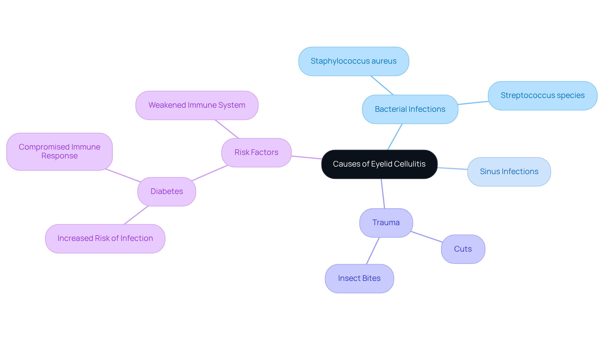 The central node represents the main topic, while the branches show different causes and risk factors. Each color-coded branch helps you quickly identify related information.