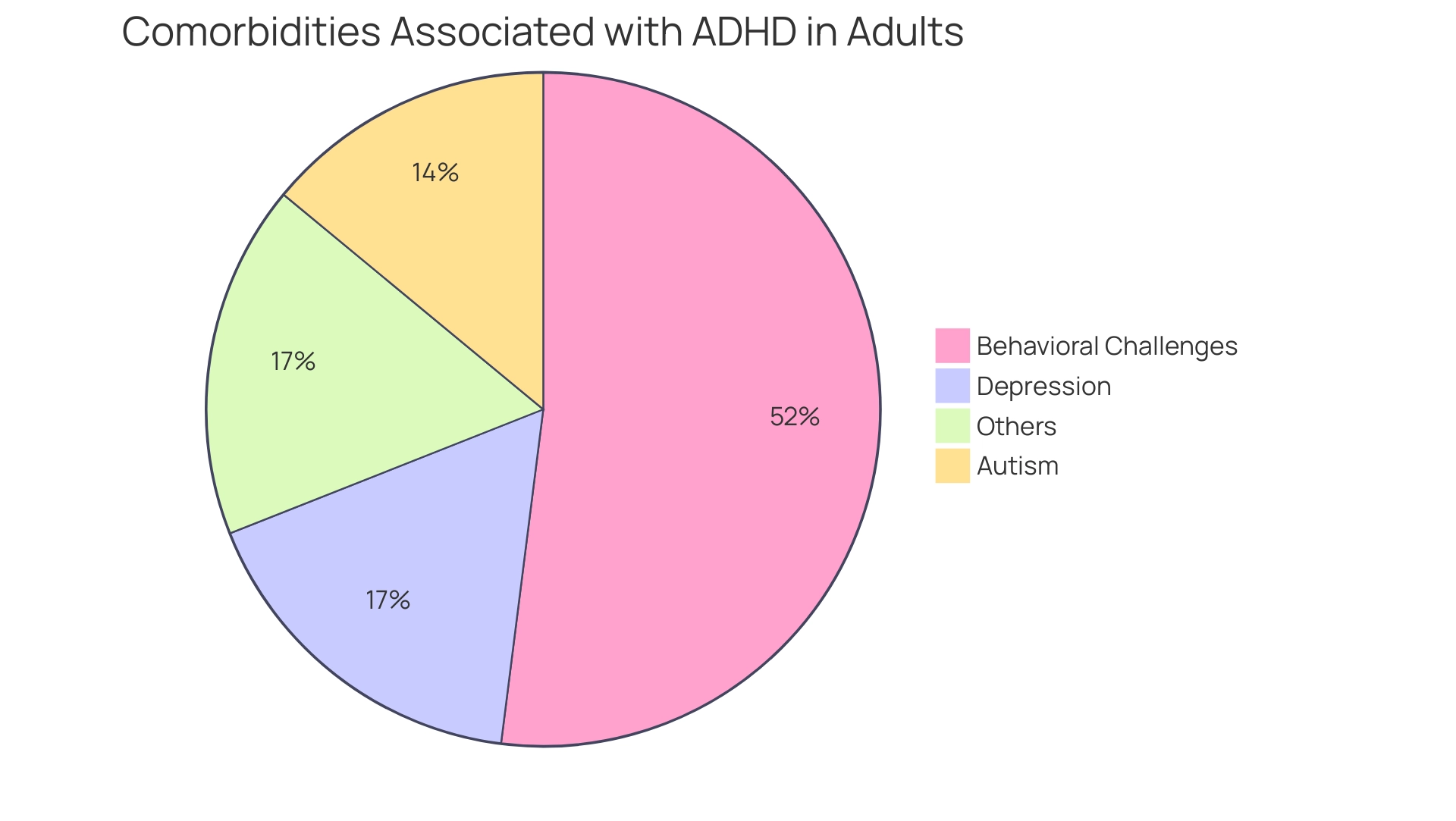 Each slice represents a comorbidity associated with ADHD, with the size of the slice corresponding to the percentage of adults experiencing that condition.