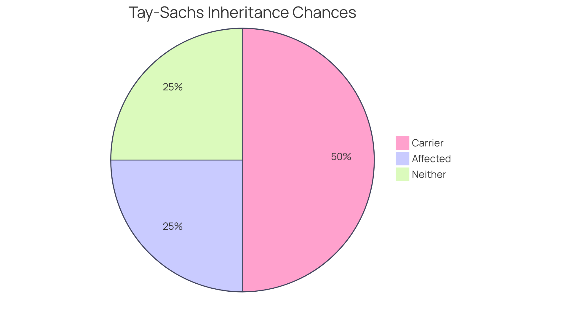 This chart shows the chances for a child based on their parents' genetic status: the red slice indicates a 25% chance of having Tay-Sachs, the blue slice shows a 50% chance of being a carrier, and the green slice represents a 25% chance of neither condition.