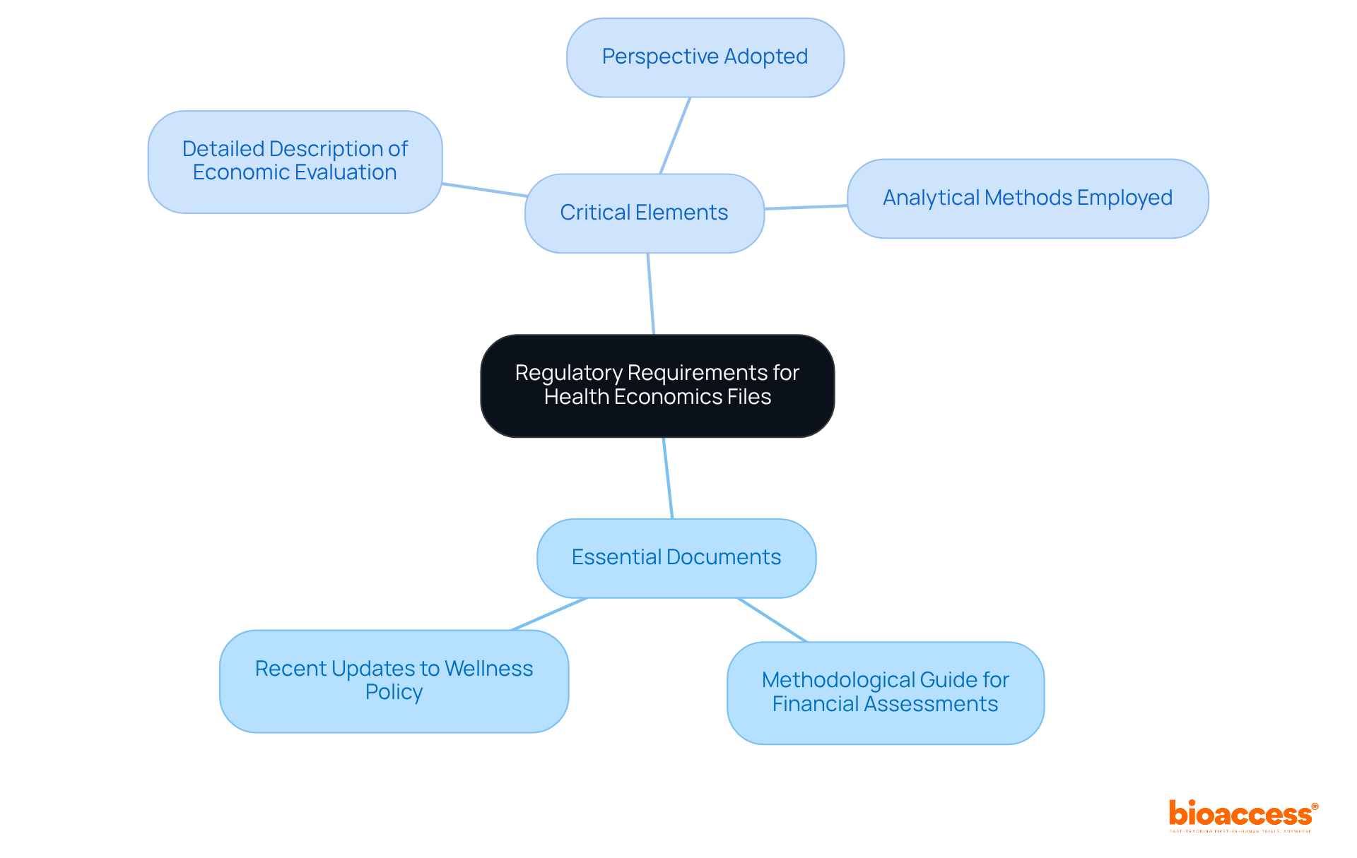 The center represents the main focus on regulatory requirements, with branches showing essential documents and critical elements needed for health economics files. Each branch helps you understand what to include in your evaluations.