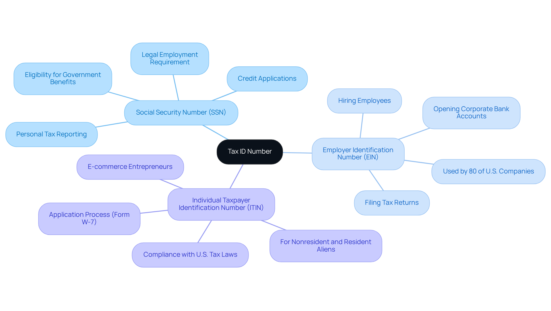 The center shows the main topic, and each branch represents a type of Tax ID Number. Follow the branches to learn about their specific uses and why they are important. The center shows the main topic, and each branch represents a type of Tax ID Number. Follow the branches to learn about their specific uses and why they are important.