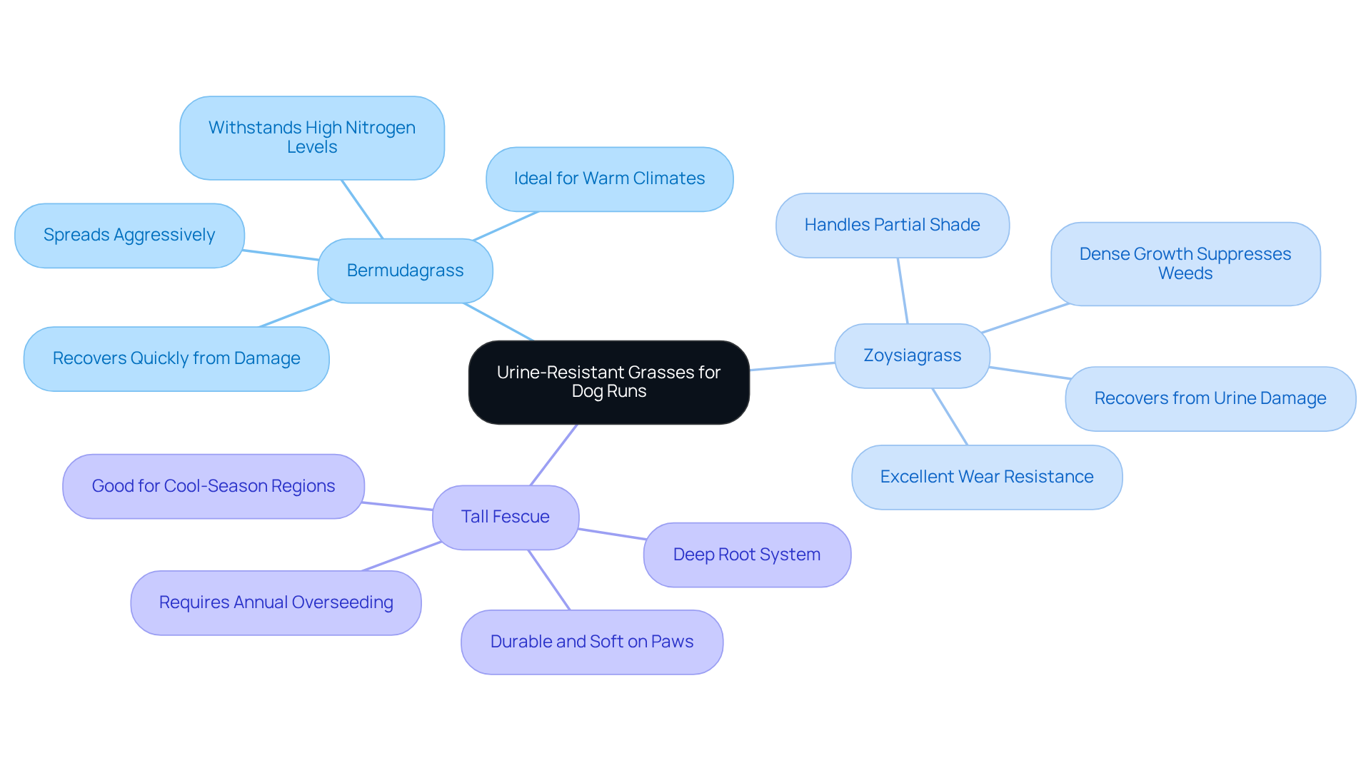 This mindmap shows the best grass types for dog runs. Start at the center with the main topic, then follow the branches to learn about each grass type and its benefits. Each color represents a different grass type, making it easy to see how they contribute to a healthy lawn for your pets. This mindmap shows the best grass types for dog runs. Start at the center with the main topic, then follow the branches to learn about each grass type and its benefits. Each color represents a different grass type, making it easy to see how they contribute to a healthy lawn for your pets.