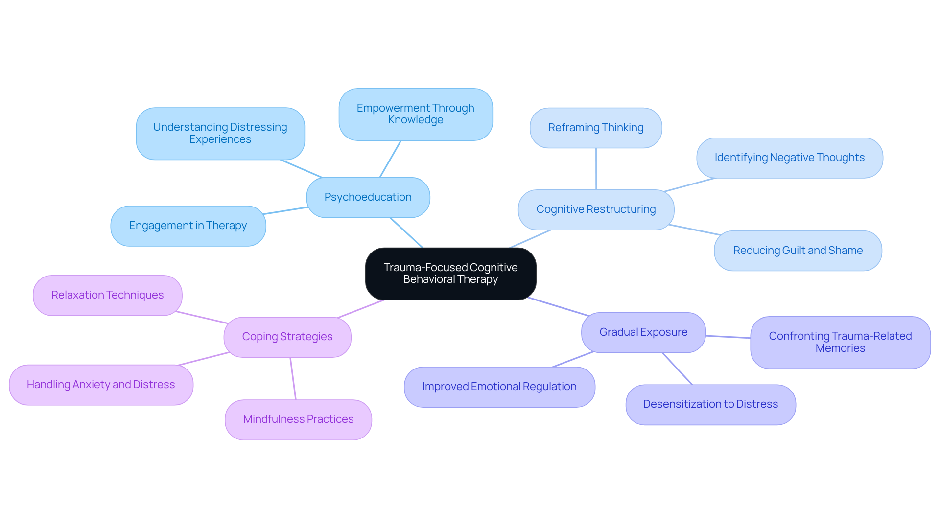 The center represents the main therapy approach, and each branch shows a key principle. Follow the branches to see how each principle contributes to healing and recovery.
