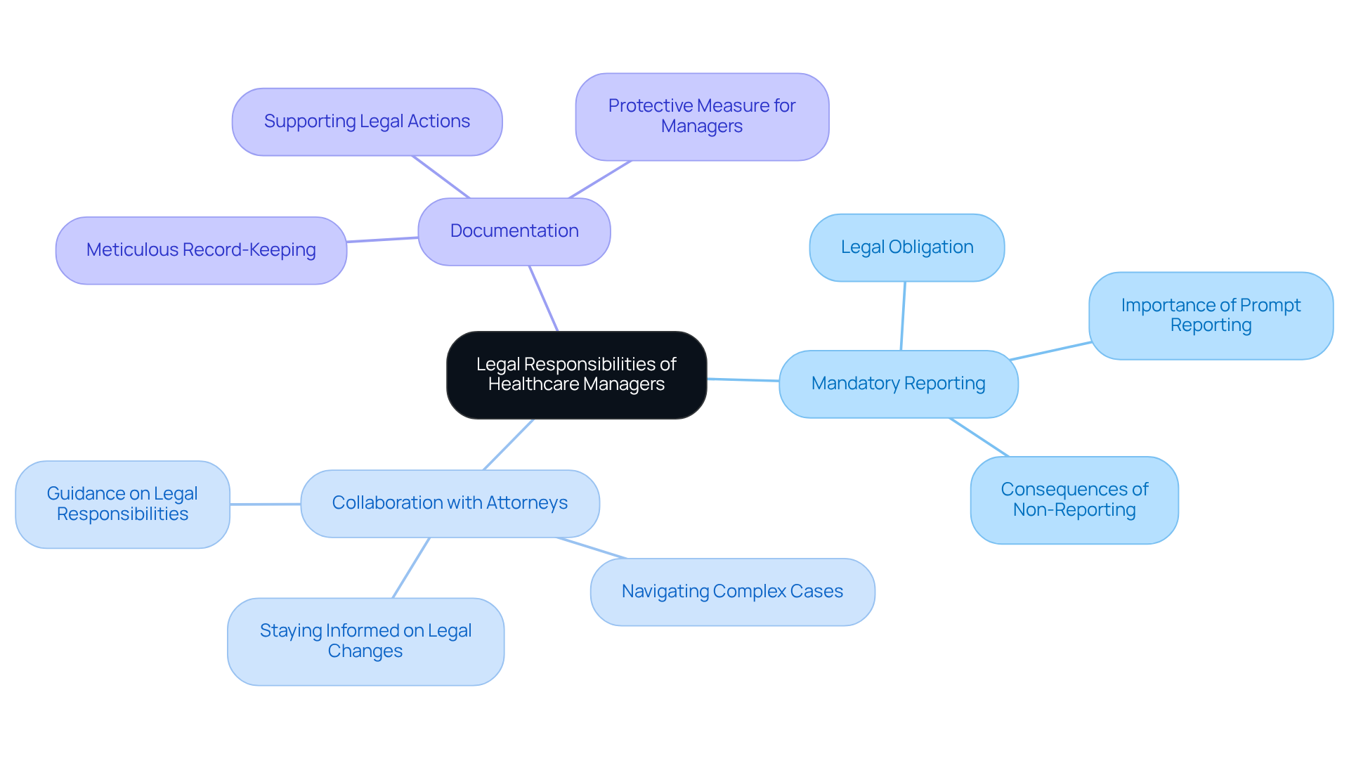 Start at the center with the main theme of legal responsibilities, then follow the branches to explore each key aspect and its importance in safeguarding vulnerable seniors.