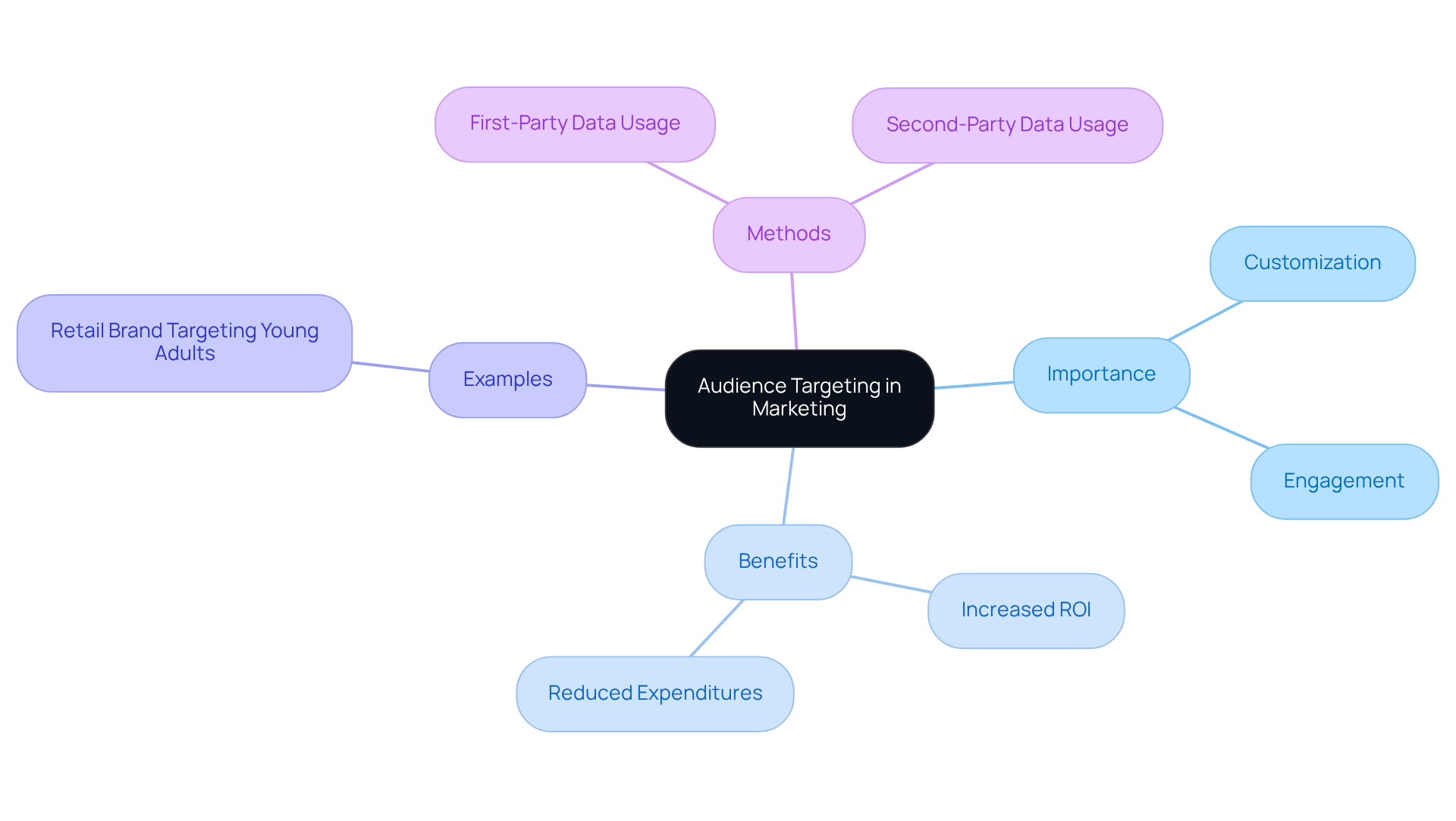 The central node represents the main topic, while branches show the importance, benefits, examples, and methods of audience targeting. Each branch helps you see how these elements connect to the overall strategy.