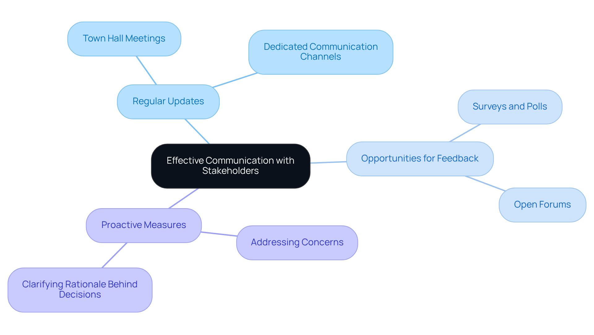 The center represents the main goal of communicating effectively with stakeholders. Each branch shows a key component of the strategy, and the sub-branches provide specific actions or examples to illustrate how to implement these strategies.