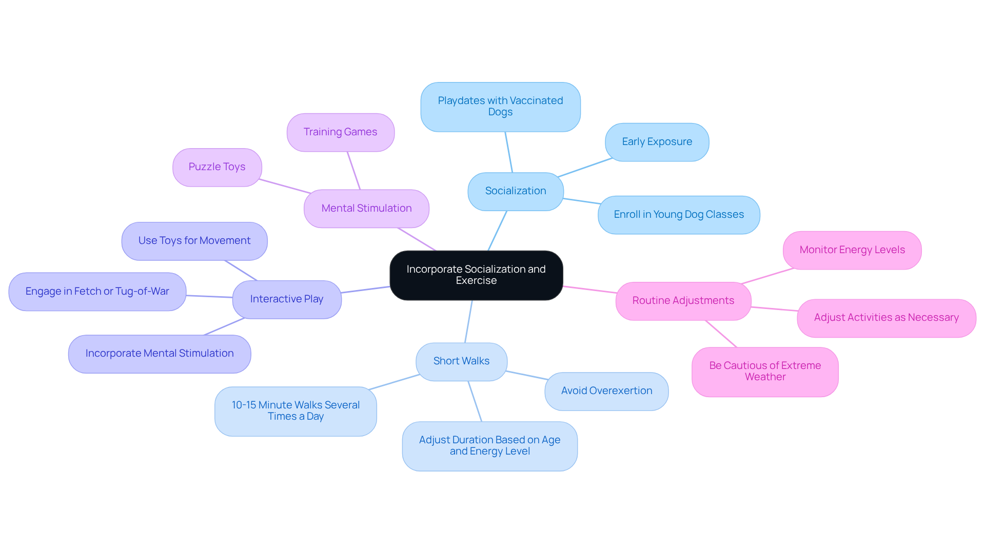 Start at the center with the main idea, then follow the branches to explore different strategies. Each branch is a key area you can focus on, with further details that help enrich your dog's social skills and exercise routine.