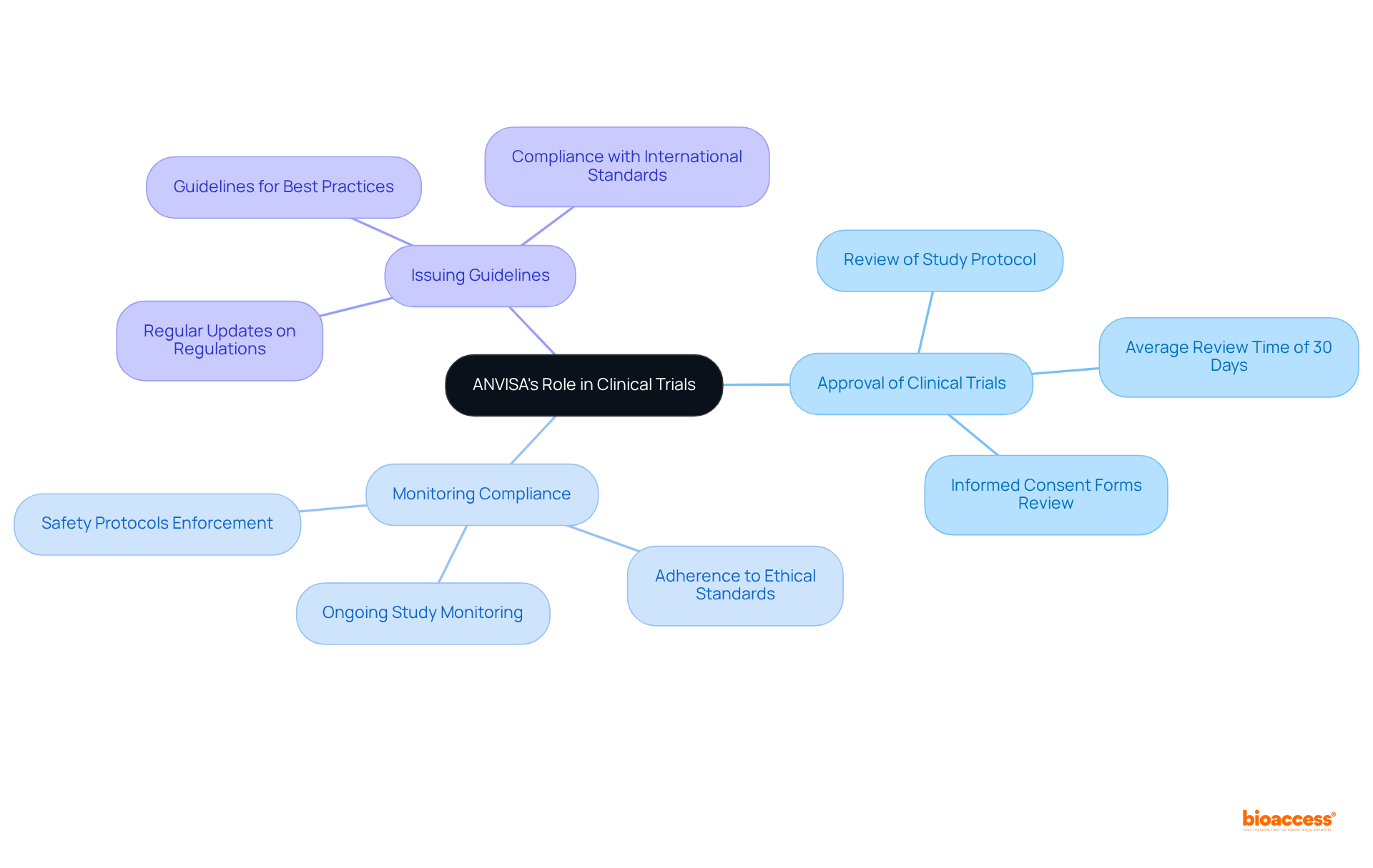 The central node represents ANVISA's overall role, while each branch highlights a specific responsibility. The sub-branches provide further detail on how ANVISA fulfills these roles.