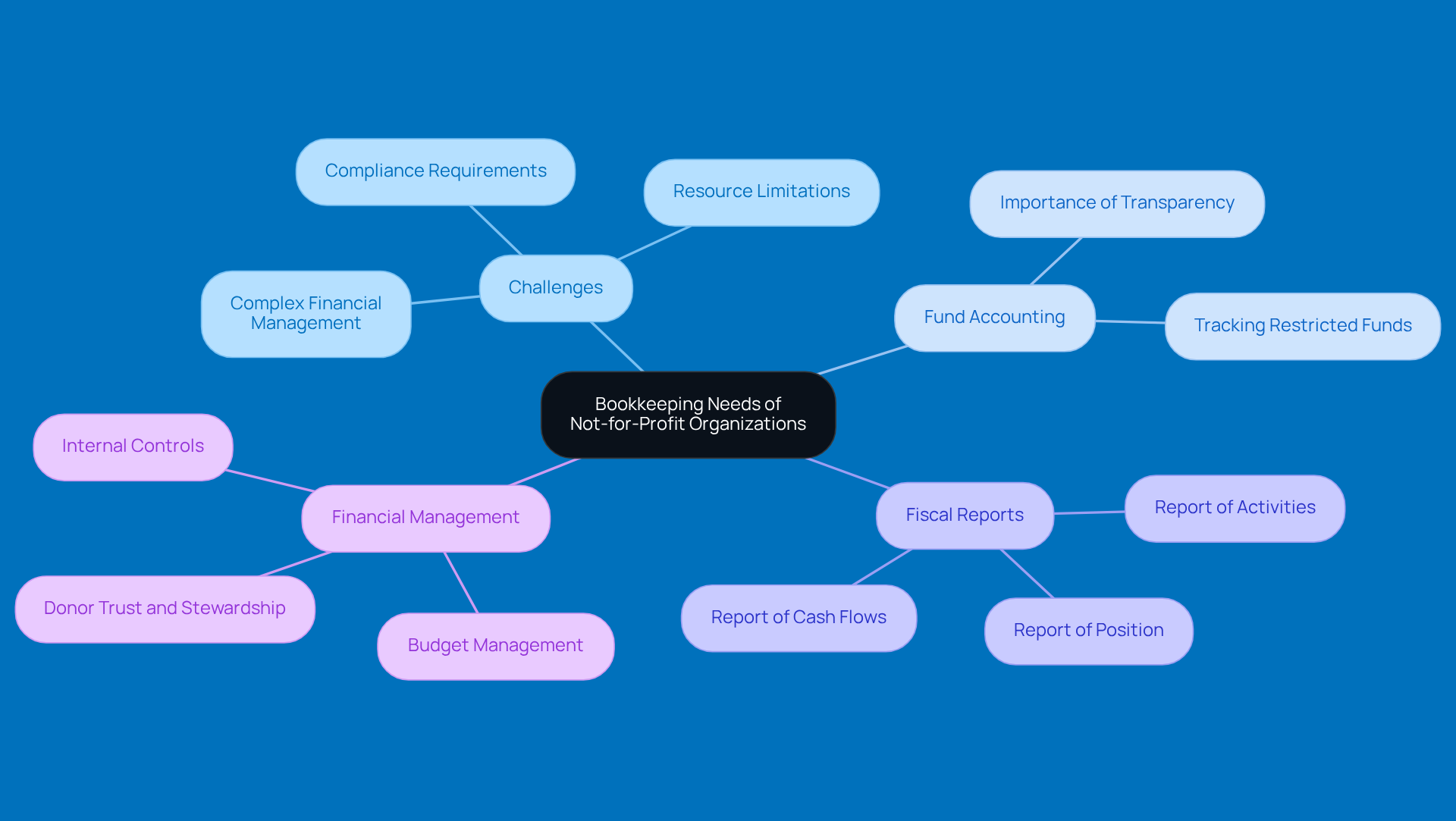 The central node represents the main topic, while the branches show the key areas of focus. Each sub-point under the branches provides more detail about the challenges and requirements specific to nonprofits.