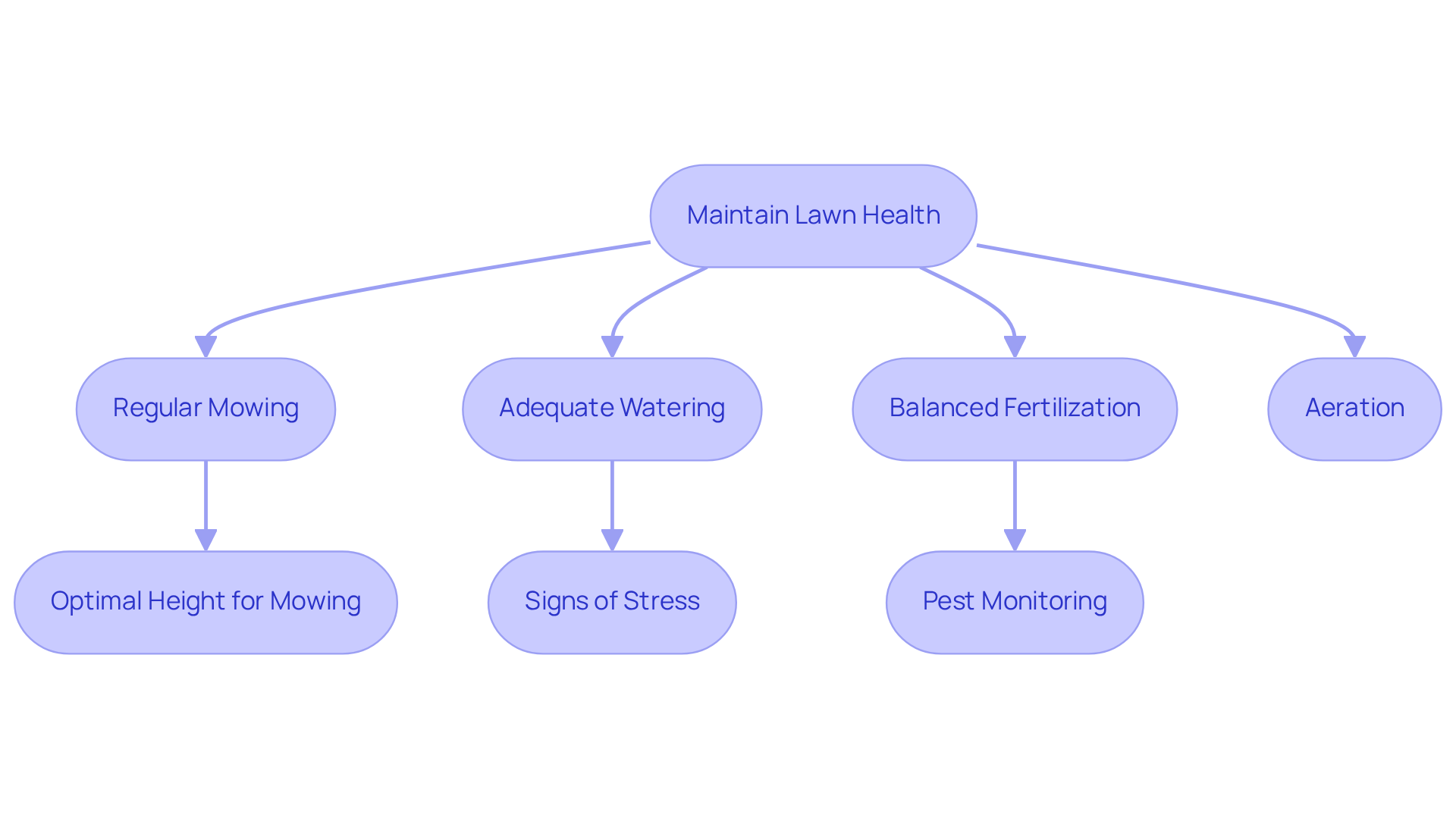 Follow the arrows to see the steps you can take for a healthy lawn. Each box represents an action you can implement, leading to a thriving yard.