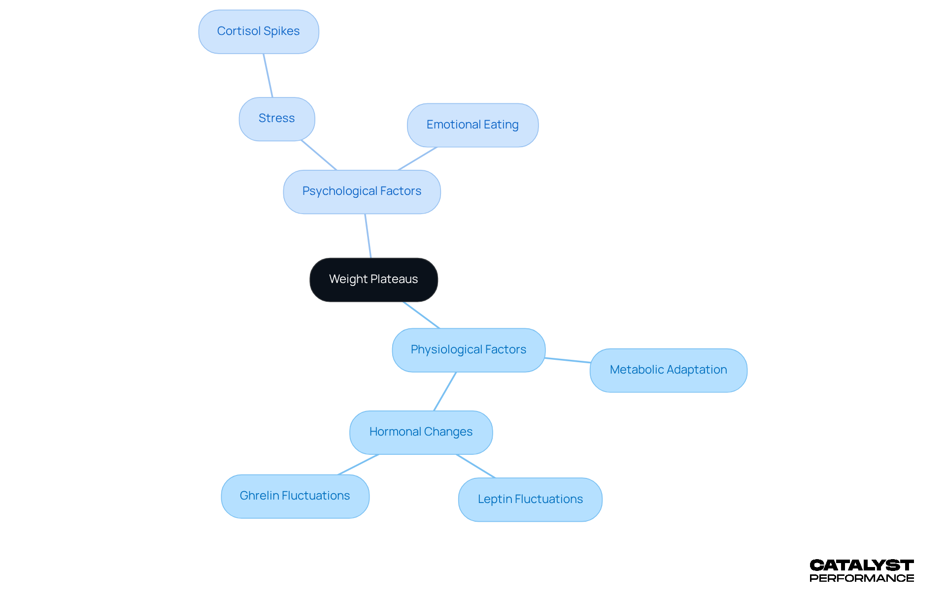 The central node represents the main topic of weight plateaus. The branches show the key factors affecting weight loss, with sub-branches detailing specific elements within each category. This layout helps you see how everything connects.
