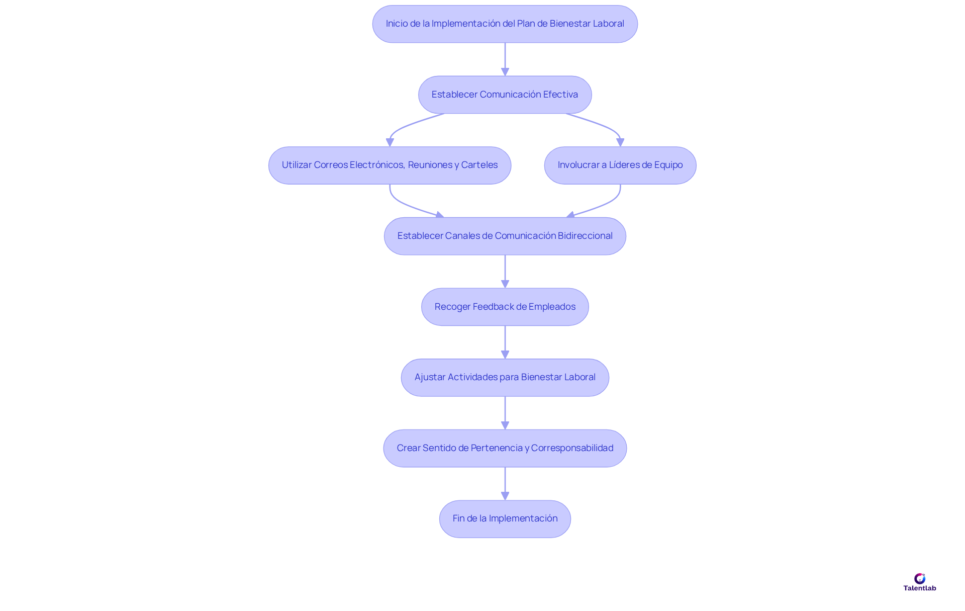 Cada cuadro representa un paso en el proceso de implementación. Sigue las flechas para entender cómo cada parte se conecta y contribuye al éxito del plan.