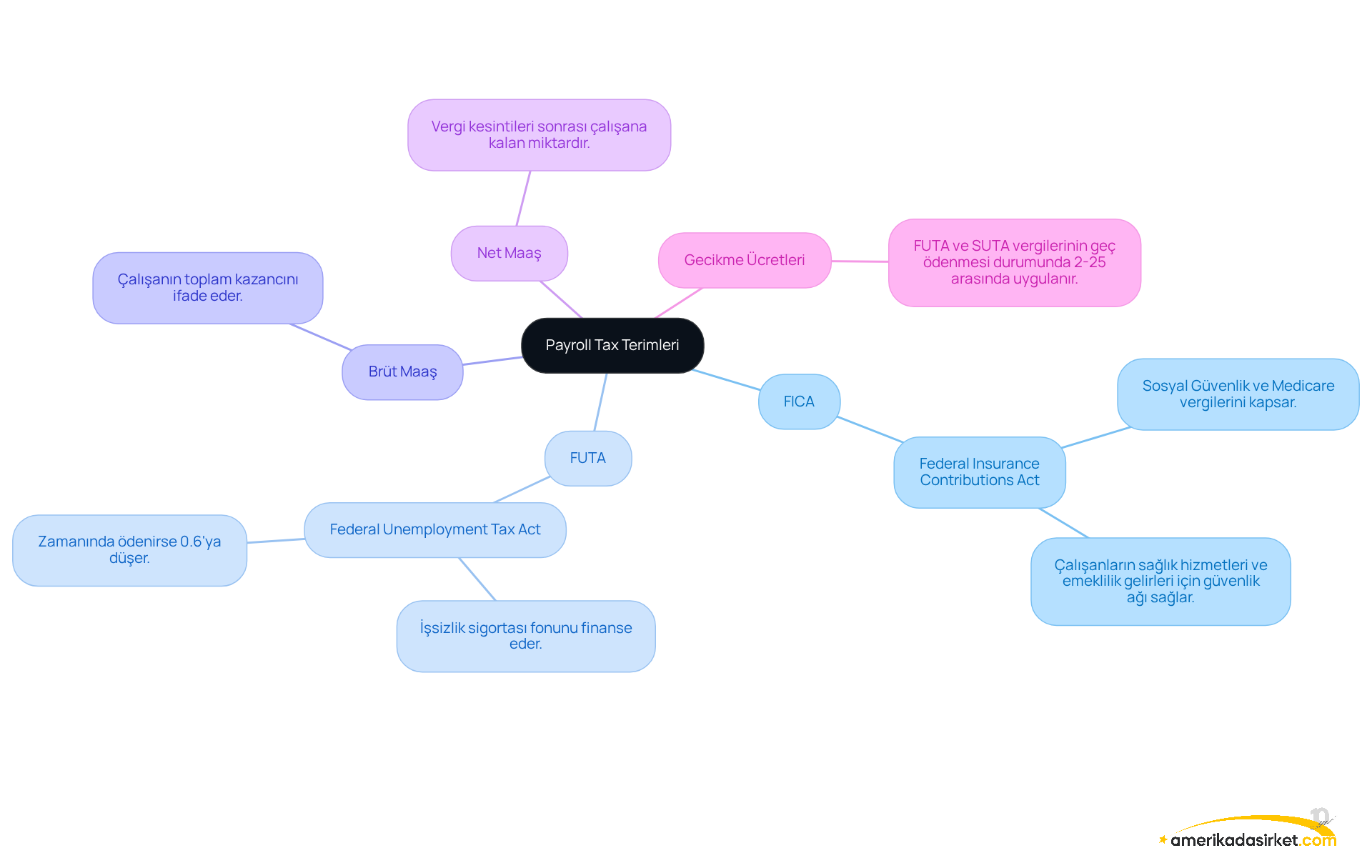Merkezdeki ana başlık, payroll tax ile ilgili terimleri temsil eder. Dallar, her terimin tanımını ve önemini gösterir. Renkler, her terimi ayırt etmeyi kolaylaştırır.