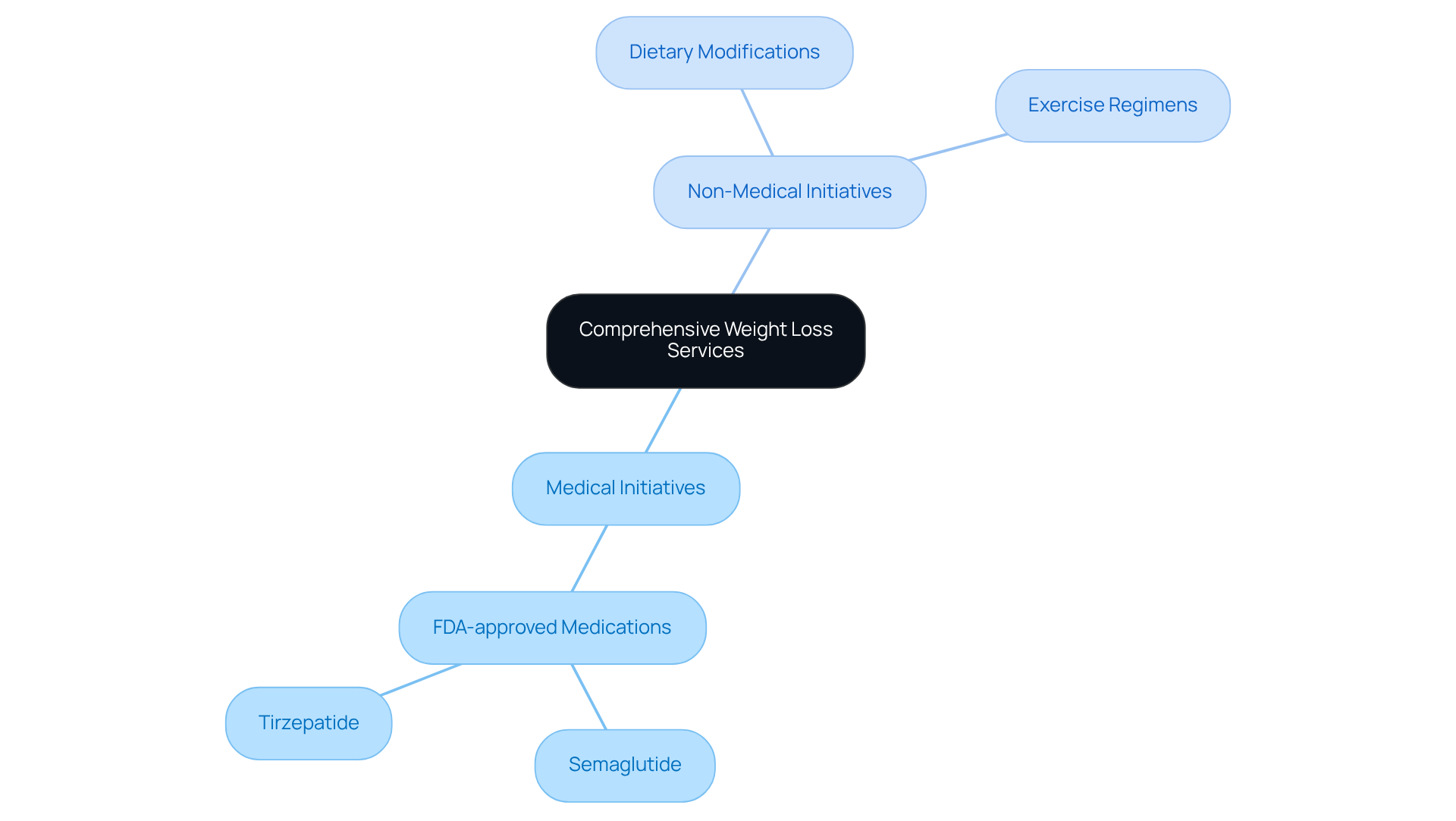 The central node represents the overall weight loss services, while the branches show the two main types of initiatives. Each sub-branch provides specific examples, helping you understand the full range of support available.