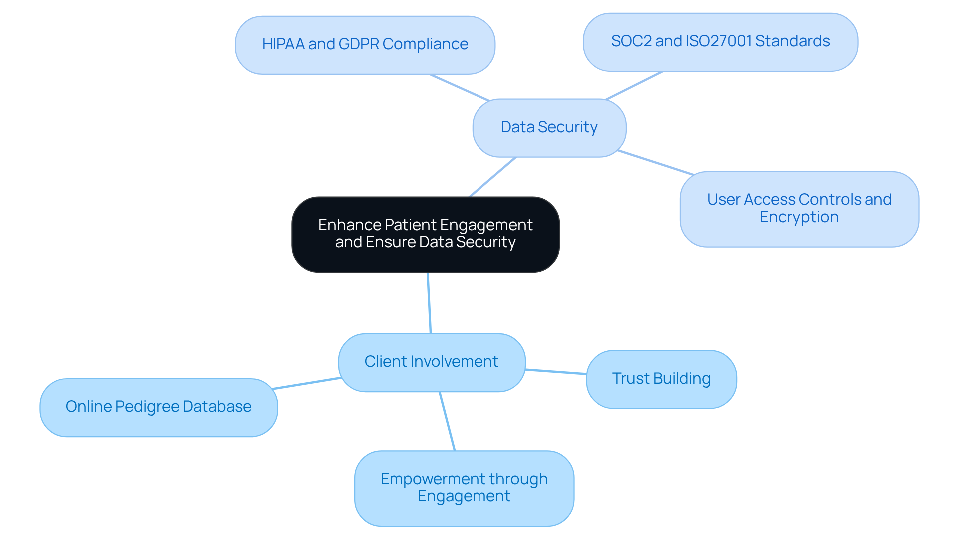 This mindmap illustrates how enhancing patient engagement and ensuring data security are interconnected. Each branch represents a key area of focus, with sub-branches detailing specific actions or concepts that contribute to the overall goal. This mindmap illustrates how enhancing patient engagement and ensuring data security are interconnected. Each branch represents a key area of focus, with sub-branches detailing specific actions or concepts that contribute to the overall goal.