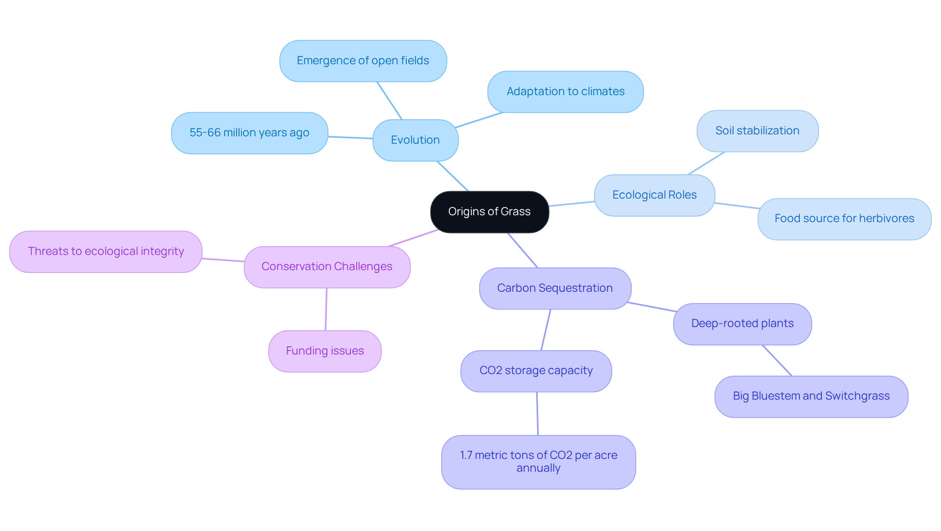 This mindmap starts with the central idea of grass origins and branches out into key themes. Each branch represents a significant aspect of grasses, showing how they evolved, their roles in the ecosystem, their ability to store carbon, and the challenges they face. Follow the branches to explore the interconnectedness of these topics.