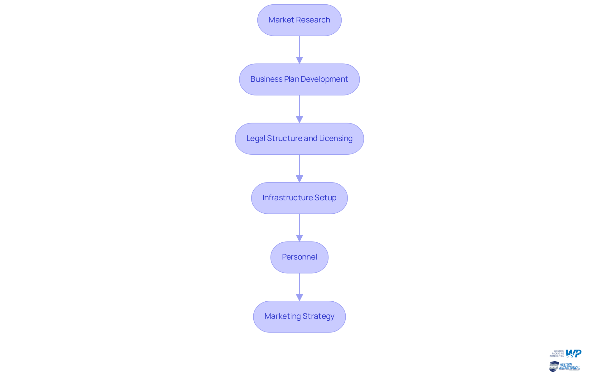Each box represents a crucial step in launching your 3PL business. Follow the arrows to navigate through the process, from understanding the market to developing your marketing strategy.