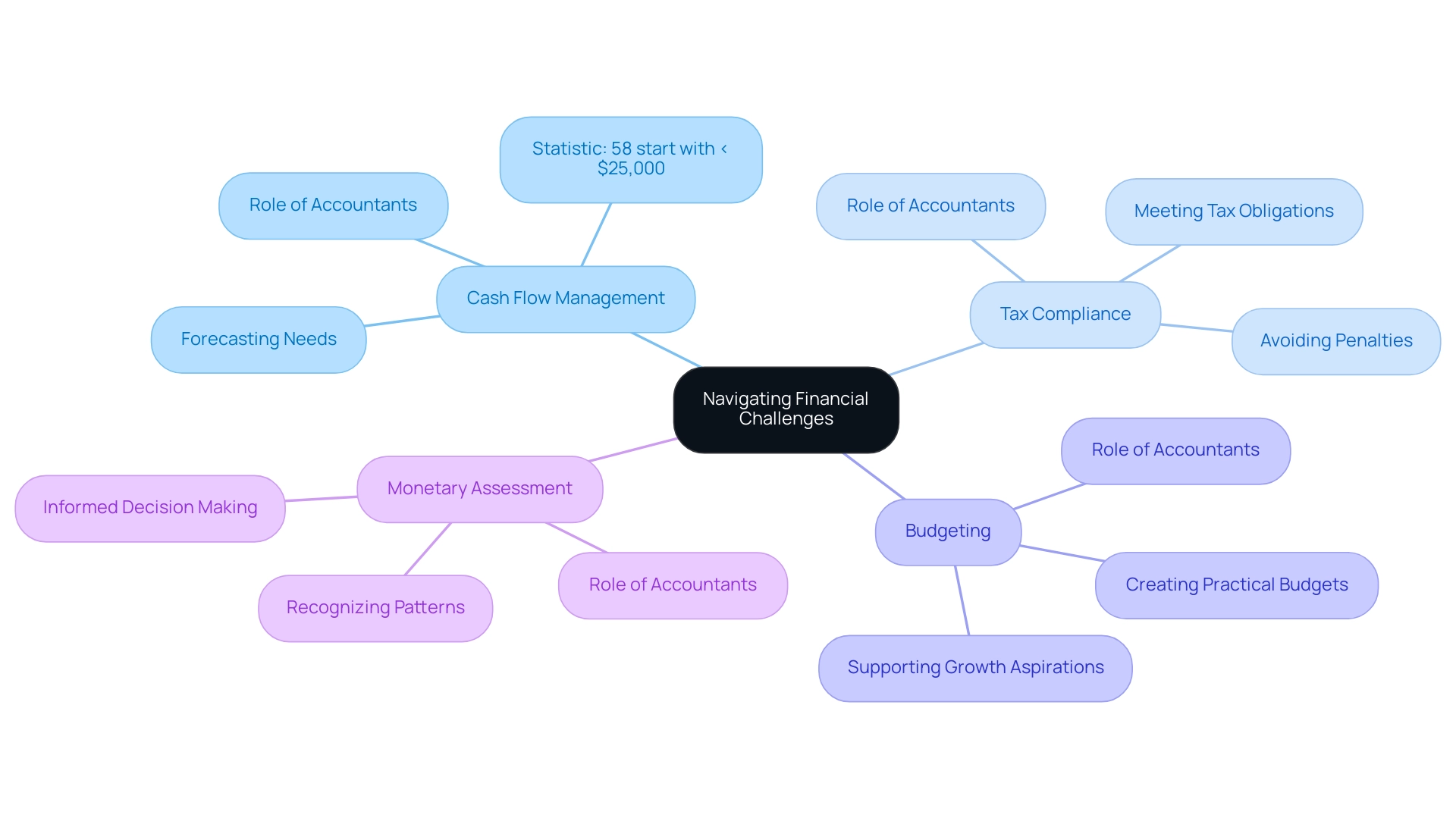 The central node represents the overall theme, with branches indicating key financial challenges and their corresponding support from accountants.