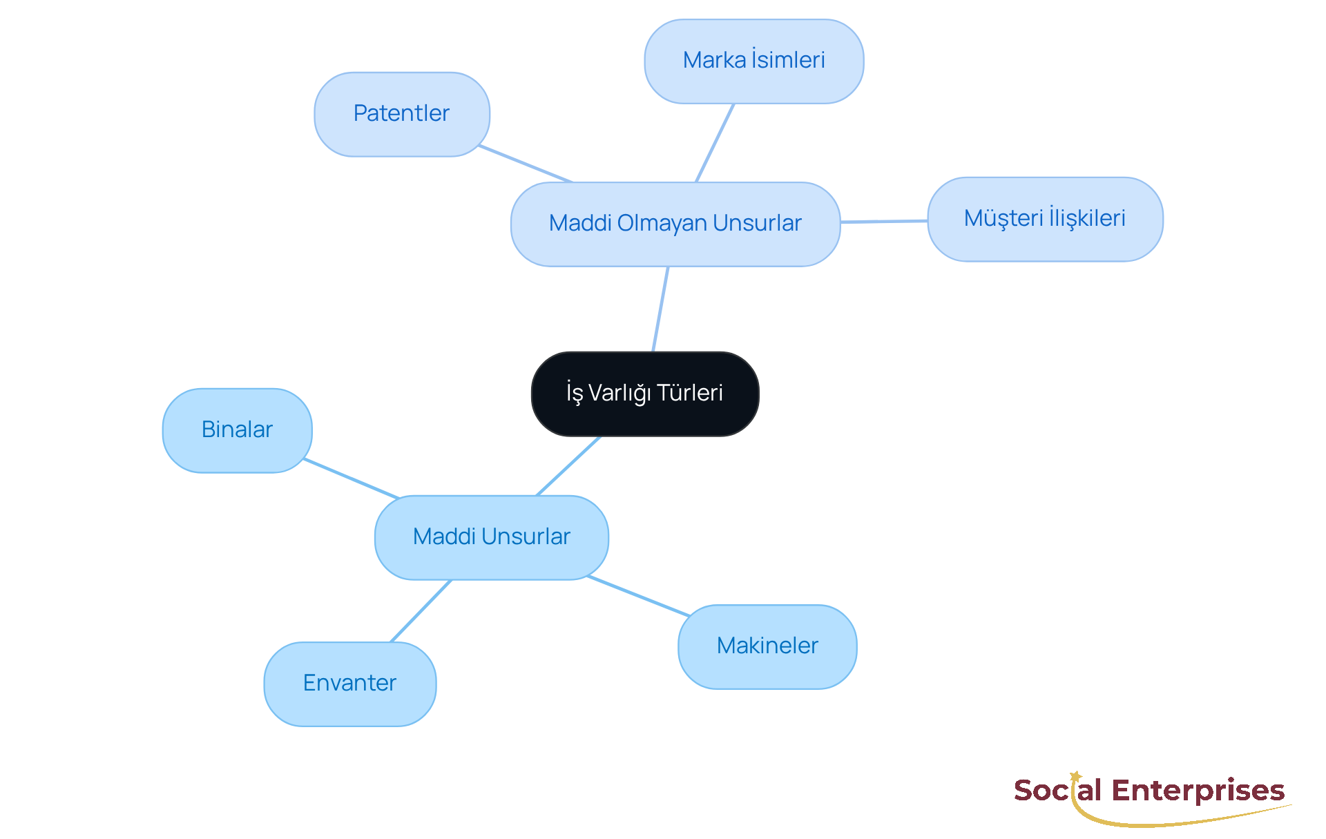 Merkezdeki kavram, iş varlıklarının genel kategorisini temsil eder. Dallar, maddi ve maddi olmayan unsurları gösterirken, alt başlıklar ise her bir kategorinin örneklerini içerir. Renkler, farklı kategoriler arasındaki ayrımı netleştirir.