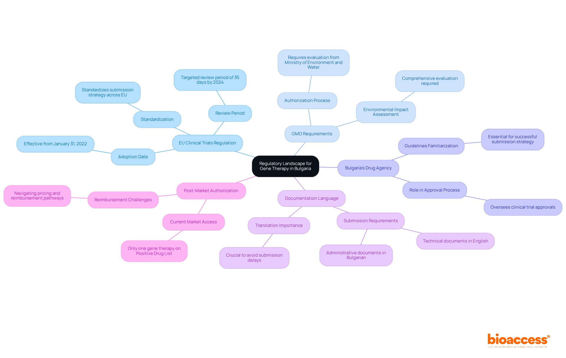 The central node represents the overall regulatory landscape, while each branch highlights a key area of regulation. Sub-points under each branch provide detailed information, helping you understand how these components fit together in the submission strategy.