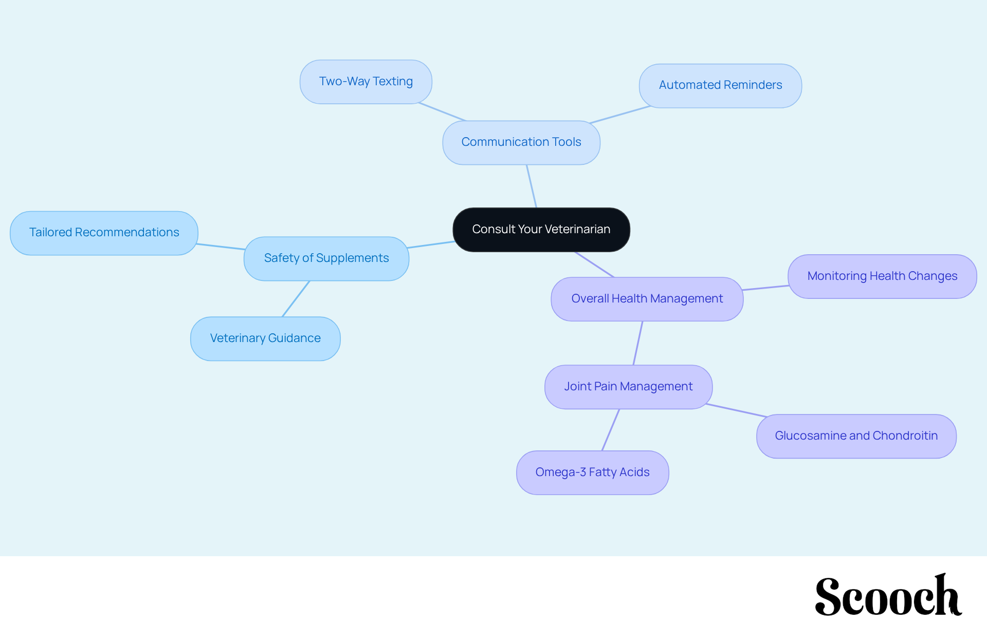 The center represents the main idea of consulting your vet, while the branches show related topics that help you understand why this is important for your dog's health.