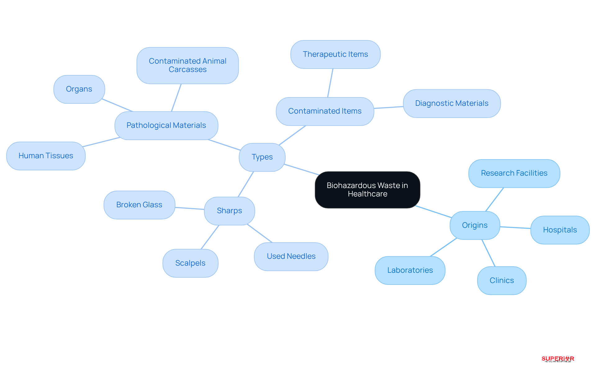 The center represents biohazardous waste, with branches showing where it comes from and what types exist. Each branch helps you see the connections and classifications clearly.