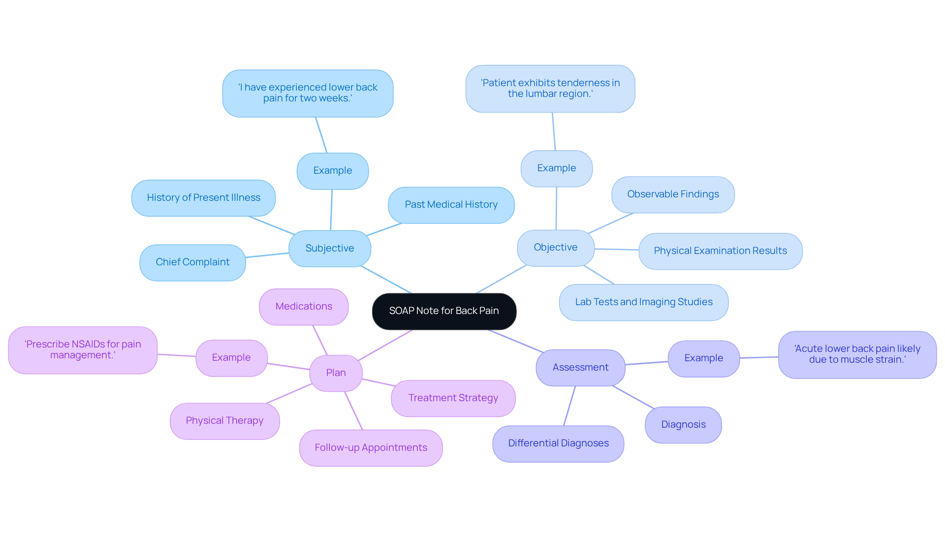 The center represents the SOAP note's overall importance, with branches showing each key component. Each section contains essential details and examples that contribute to effective patient documentation.