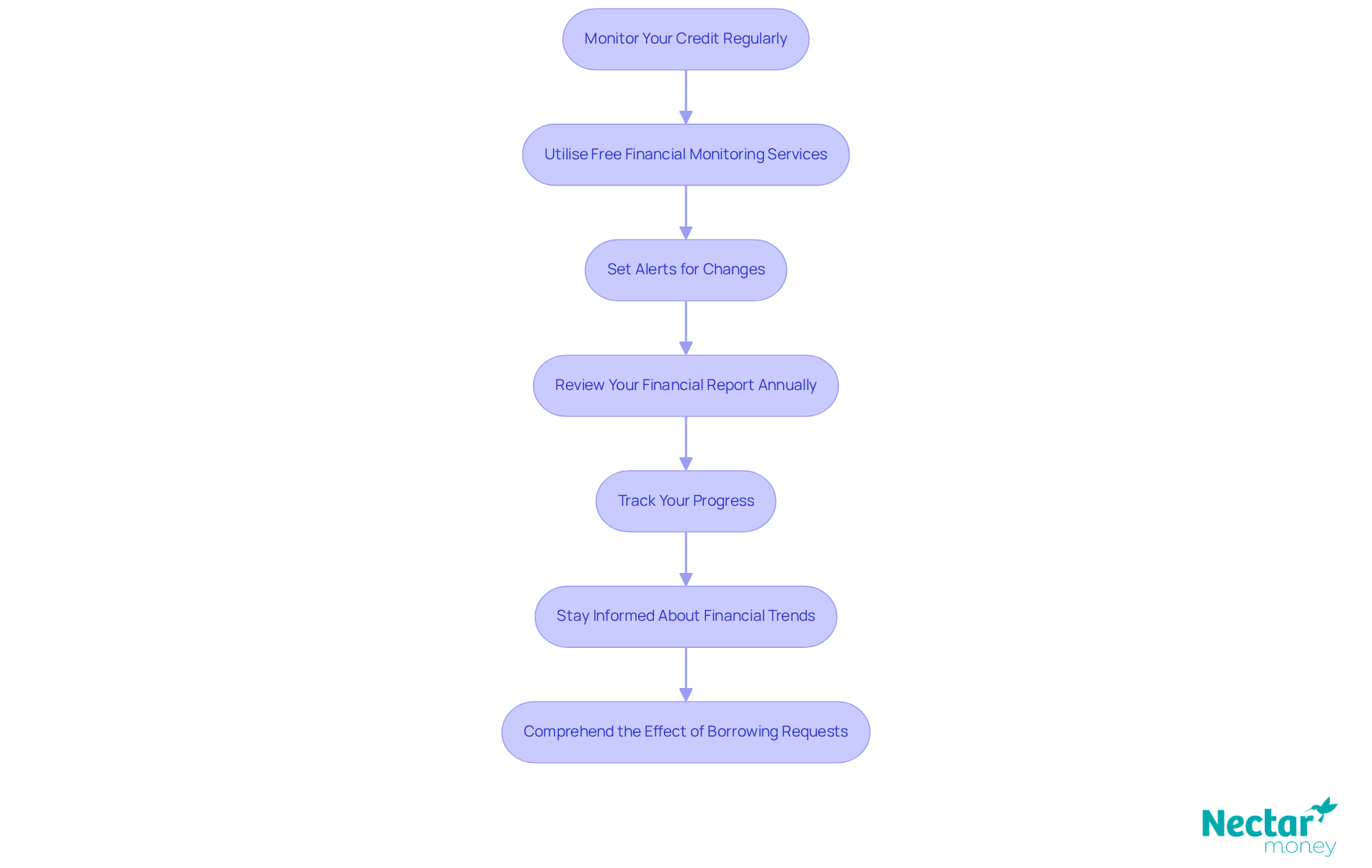 How to Build Your Credit Score in NZ: 4 Essential Steps | Nectar Money