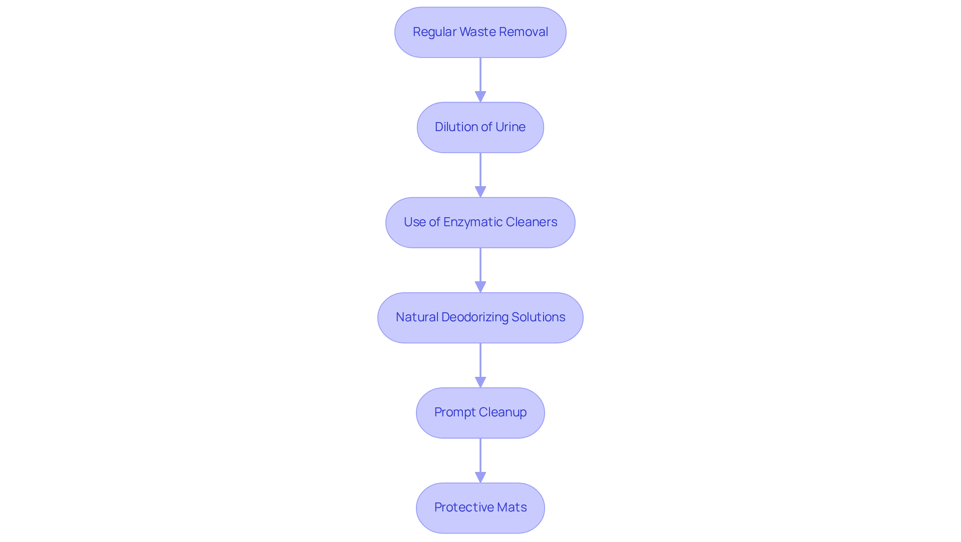 Each box represents a step in keeping your artificial grass clean and odor-free. Follow the arrows to see the order of actions you should take for the best results.