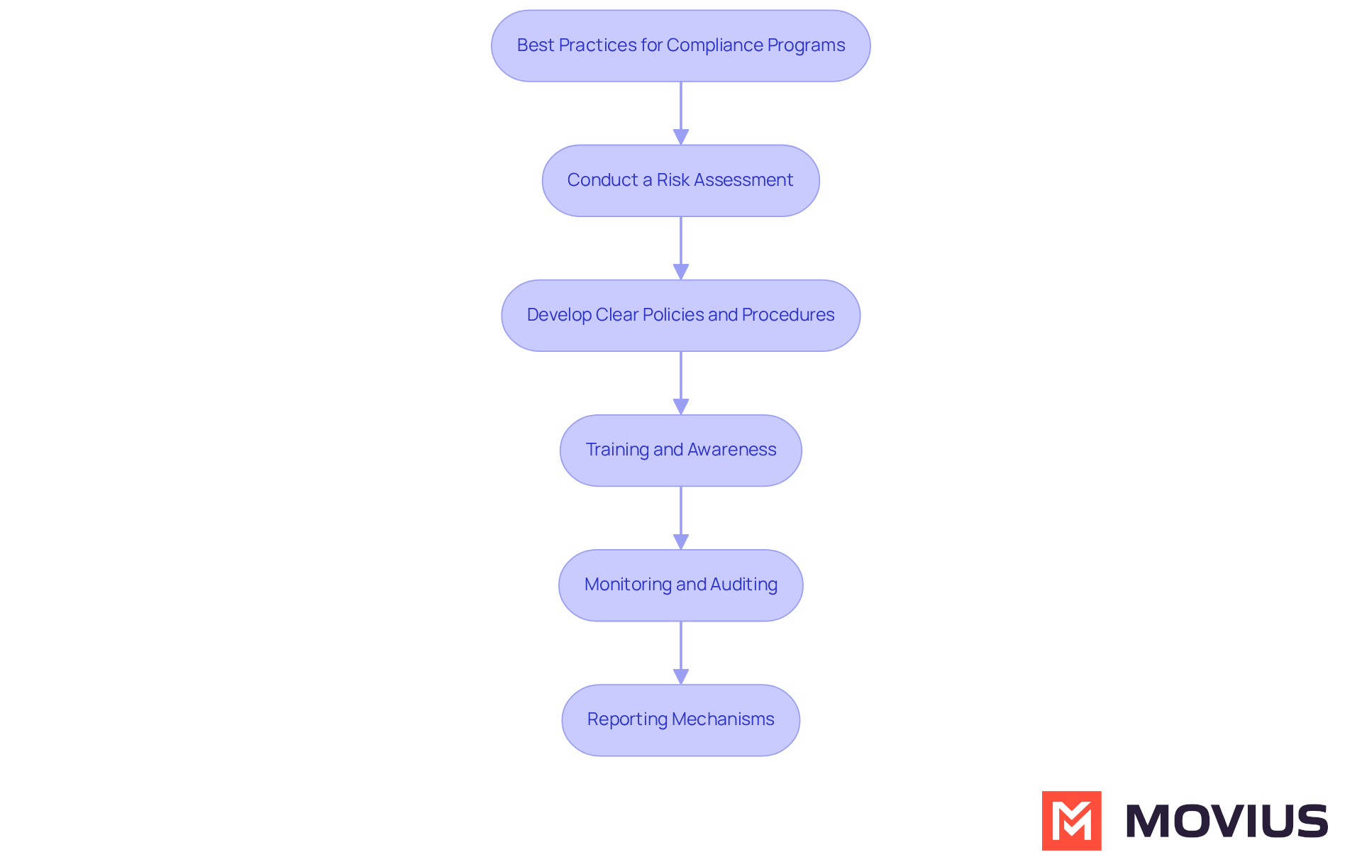 Each box represents a key step in creating an effective compliance program. Follow the arrows to understand the sequence of actions that organizations should take to ensure they meet regulatory demands.