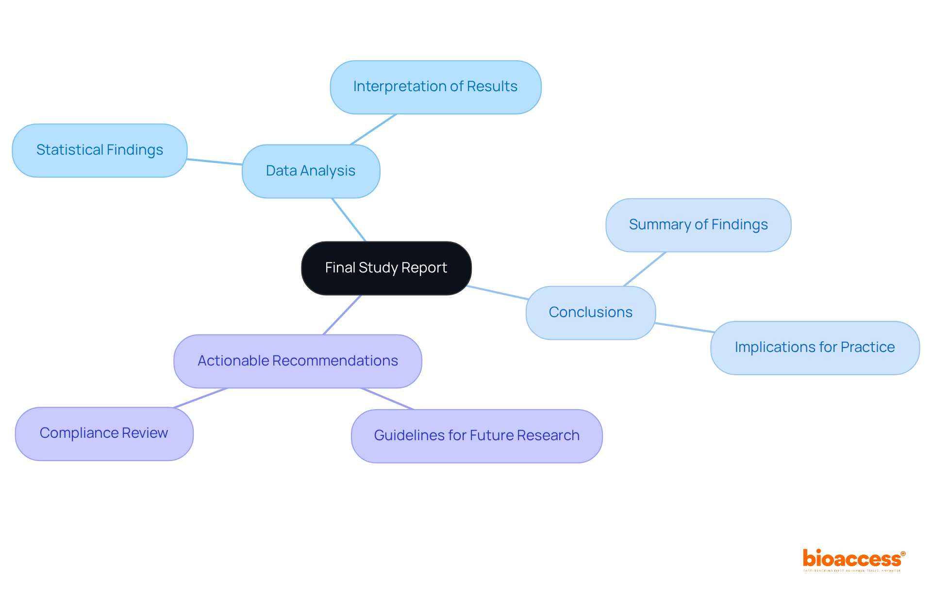 The central node shows the report's title, while the branches represent key elements of the report. Each sub-branch explains how these elements contribute to regulatory success and future research.
