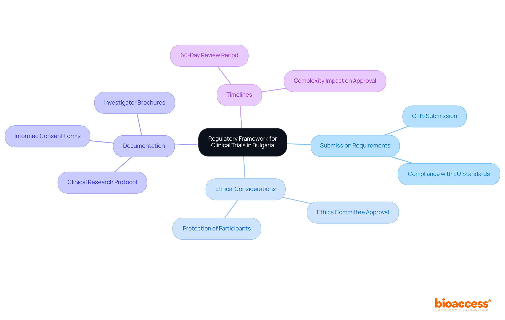 The central node represents the overall regulatory framework, while the branches show the key components that researchers need to understand. Each sub-branch provides specific details related to that component.