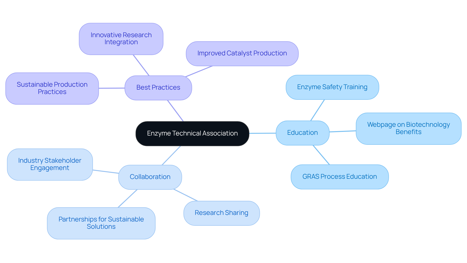 The central node represents the ETA, with branches showing how education and collaboration lead to best practices and their impacts on sustainability and efficiency in enzyme production.