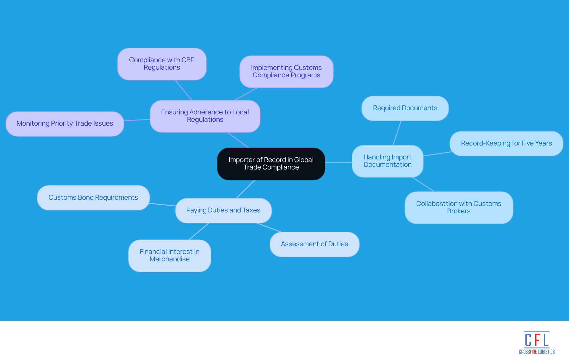 The central node represents the Importer of Record, while the branches show the key responsibilities. Each branch highlights how these tasks support compliance in global trade.