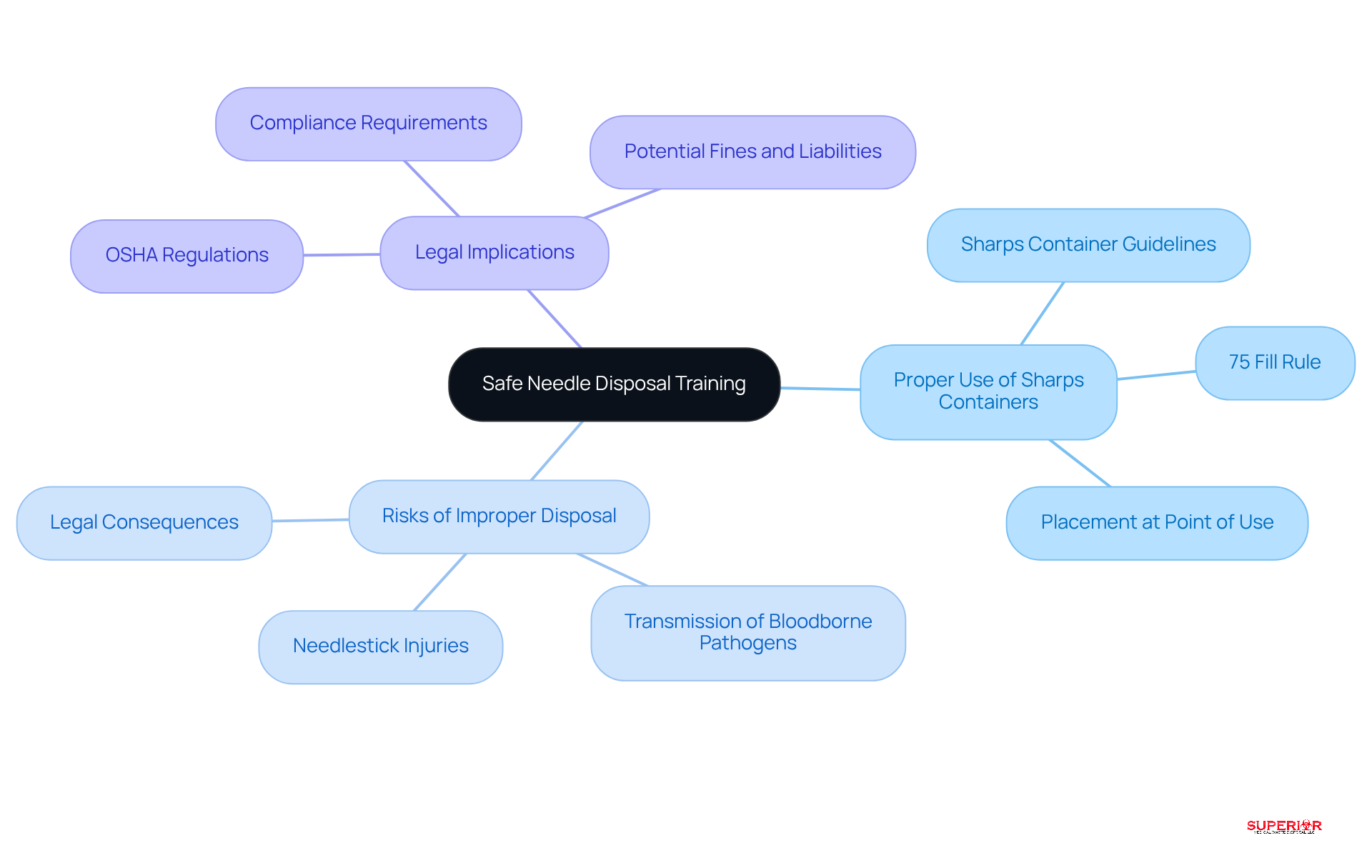 The center represents the main training focus, while the branches show key topics that need to be covered. Each branch can be explored for more details, helping staff understand the importance of safe needle disposal.