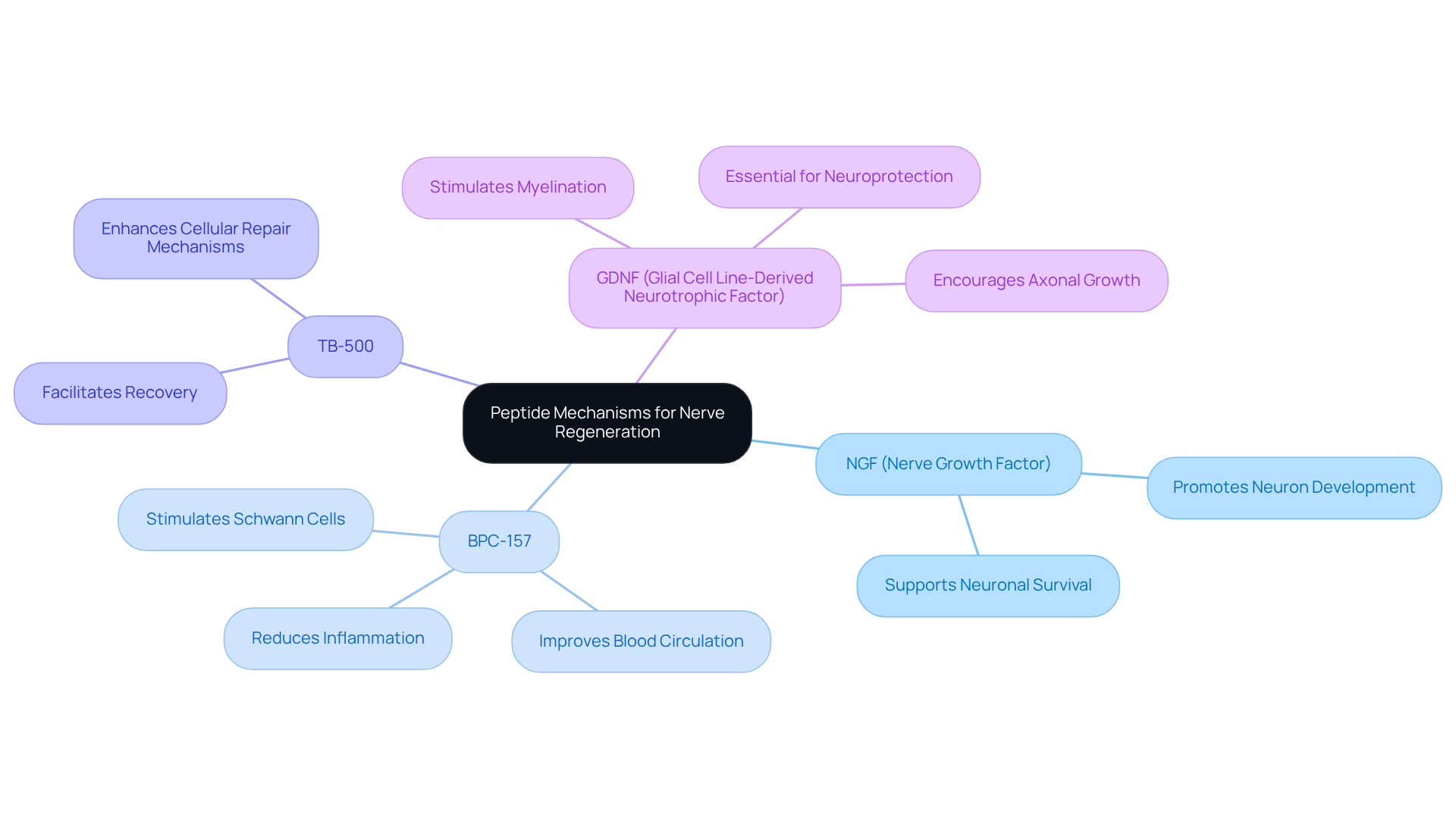 This mindmap illustrates how different peptides contribute to nerve regeneration. Start at the center with the main topic, then explore each peptide and its specific role in promoting recovery. The colors help differentiate between the various peptides and their functions.