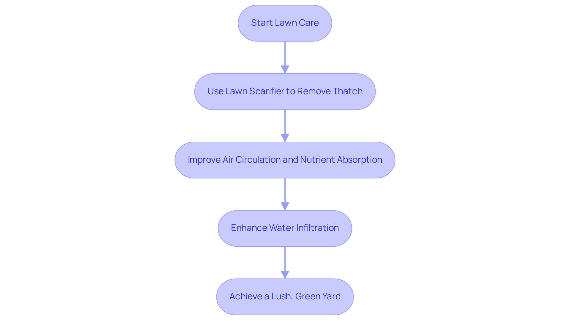 This flowchart outlines the steps to maintain a healthy lawn. Follow the arrows from start to finish to see how using a lawn scarifier improves your yard's health.