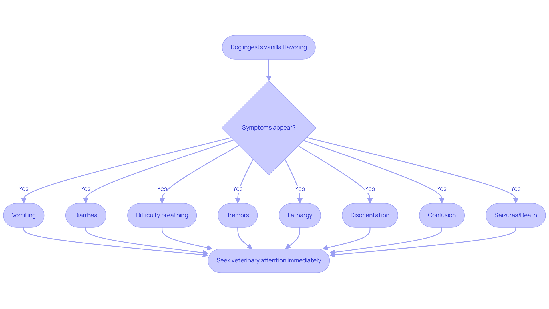 Follow the arrows to understand the steps: it starts with ingestion, then checks for symptoms, and finally leads to the action of seeking veterinary help based on what you observe.