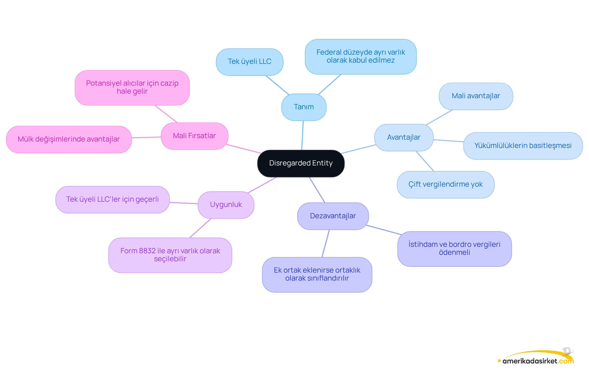 Merkezde 'Disregarded Entity' var. Dallar, bu yapının tanımını, avantajlarını ve dezavantajlarını gösteriyor. Her dalın altında daha fazla bilgi var; bu sayede konuyu daha iyi anlayabilirsiniz.