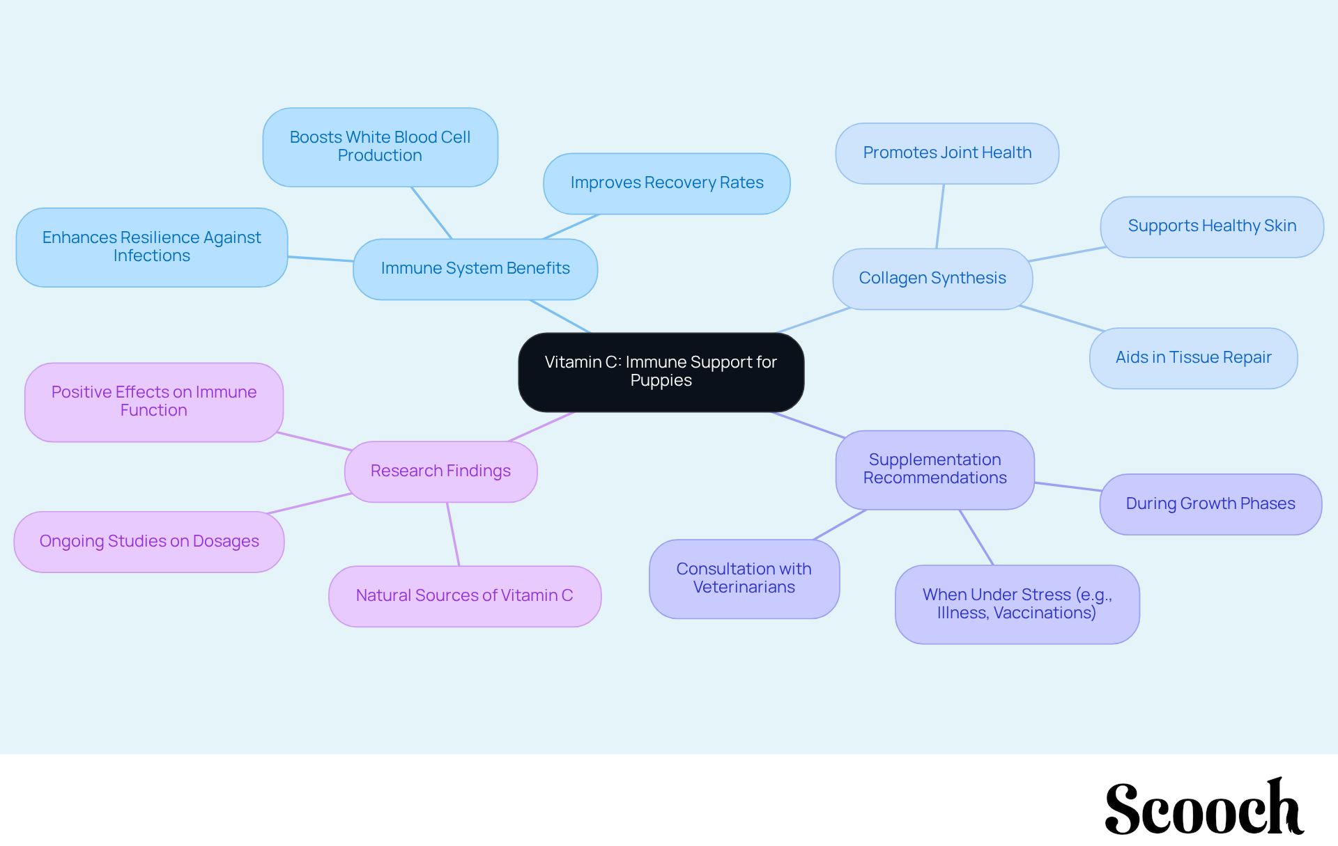 The center shows the main topic, while the branches highlight different benefits and recommendations related to vitamin C for young dogs. Each color-coded branch helps you quickly identify key areas of focus. The center shows the main topic, while the branches highlight different benefits and recommendations related to vitamin C for young dogs. Each color-coded branch helps you quickly identify key areas of focus.