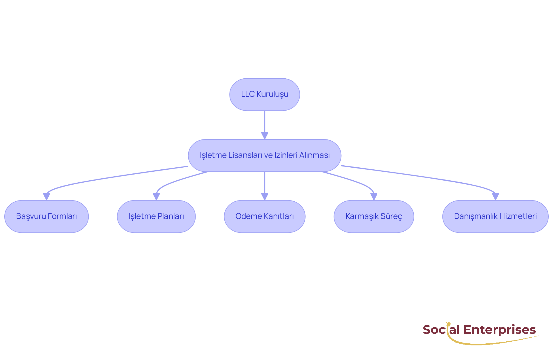 Bu akış şeması, bir LLC kurarken karşılaşacağınız adımları gösterir. Her kutu, sürecin bir aşamasını temsil eder ve oklar, aşamalar arasındaki geçişleri açıklar.